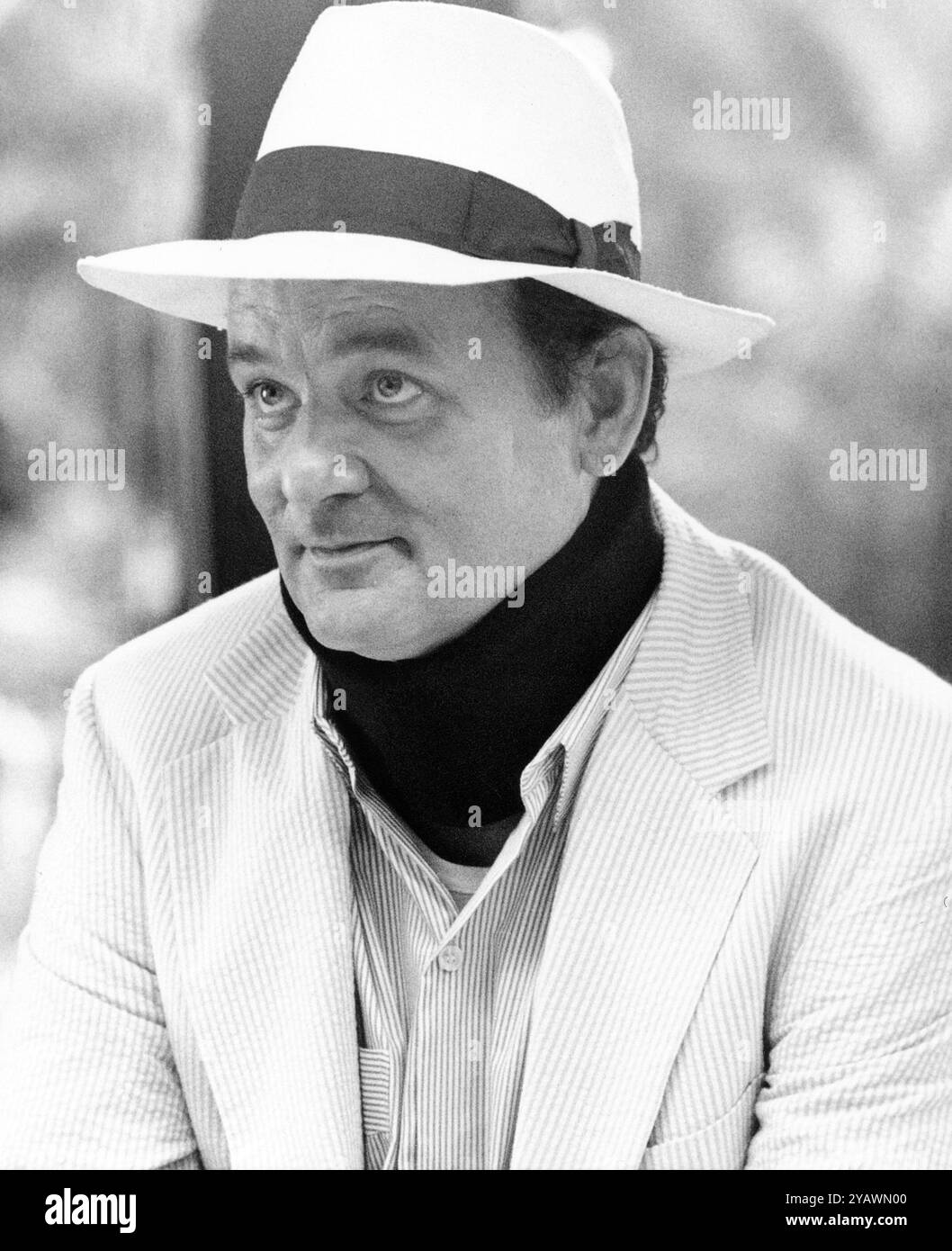 Wild Things Year : 1998 USA Director : John McNaughton Bill Murray ...