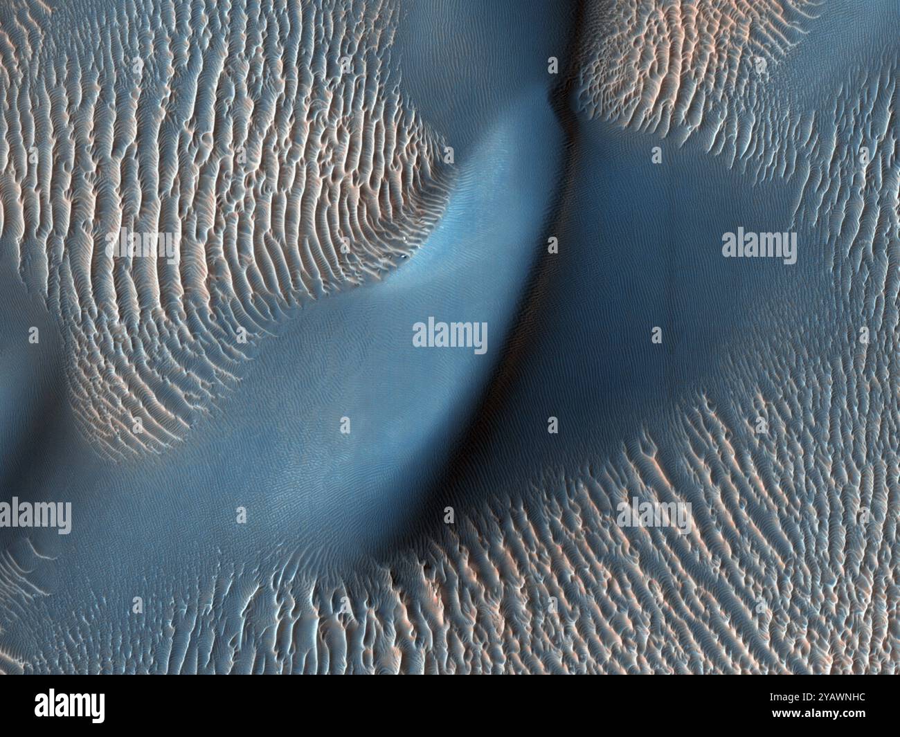 This image shows an area within Proctor Crater that has both dunes and ...