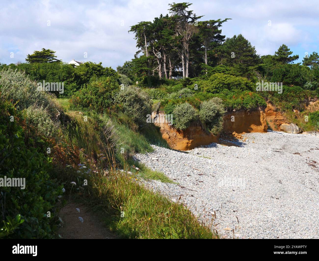 Brittany. Around Pleubian in the Cotes d'Armor, along the GR34, the ...