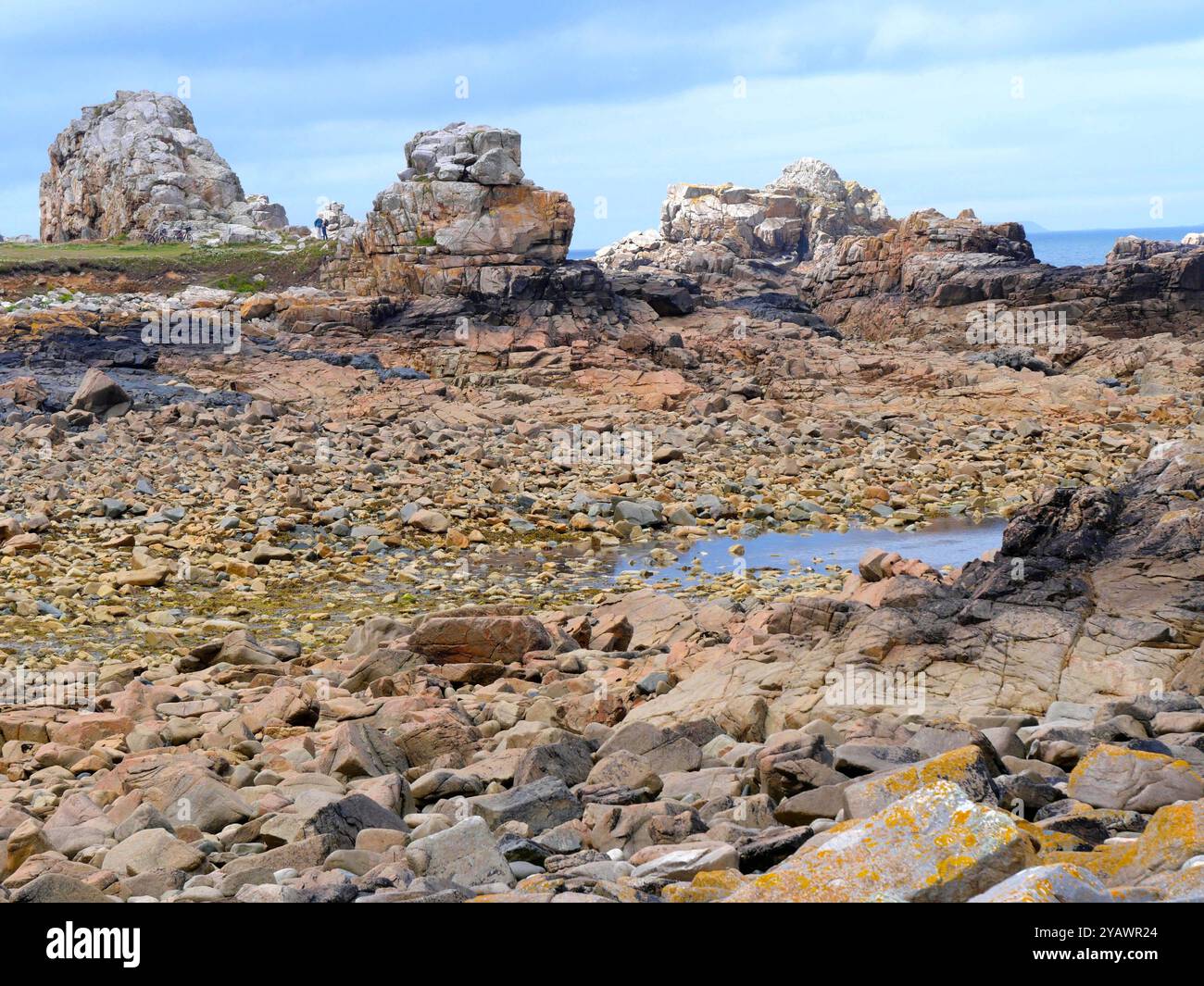 Brittany. Pointe du Chateau in the town of Plougrescant in the Cotes d ...