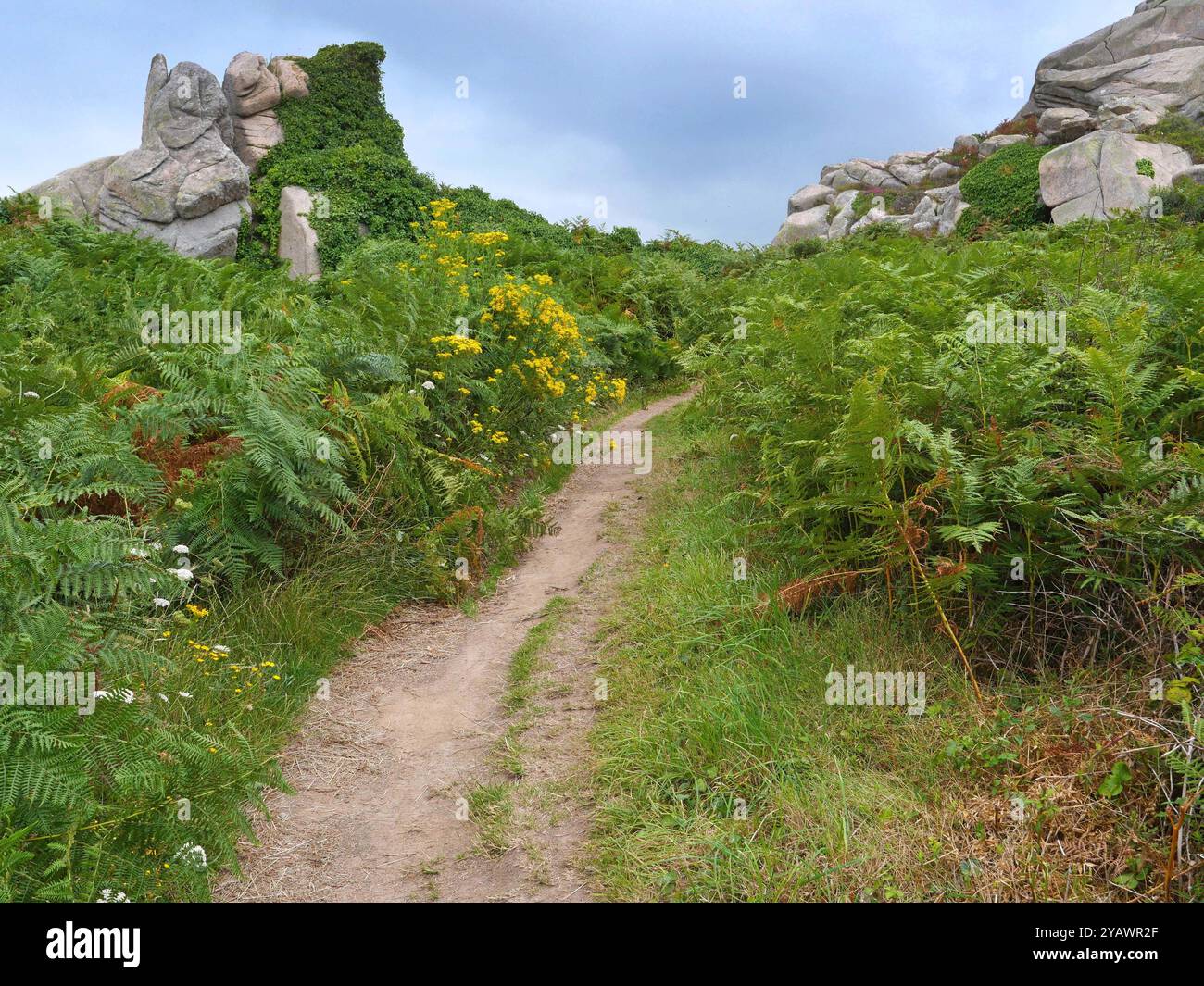 Brittany. Pointe du Chateau in the town of Plougrescant in the Cotes d ...