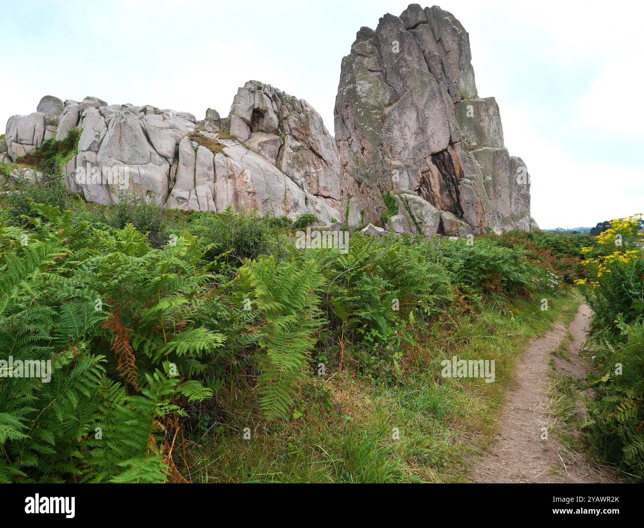 Brittany. Pointe du Chateau in the town of Plougrescant in the Cotes d ...