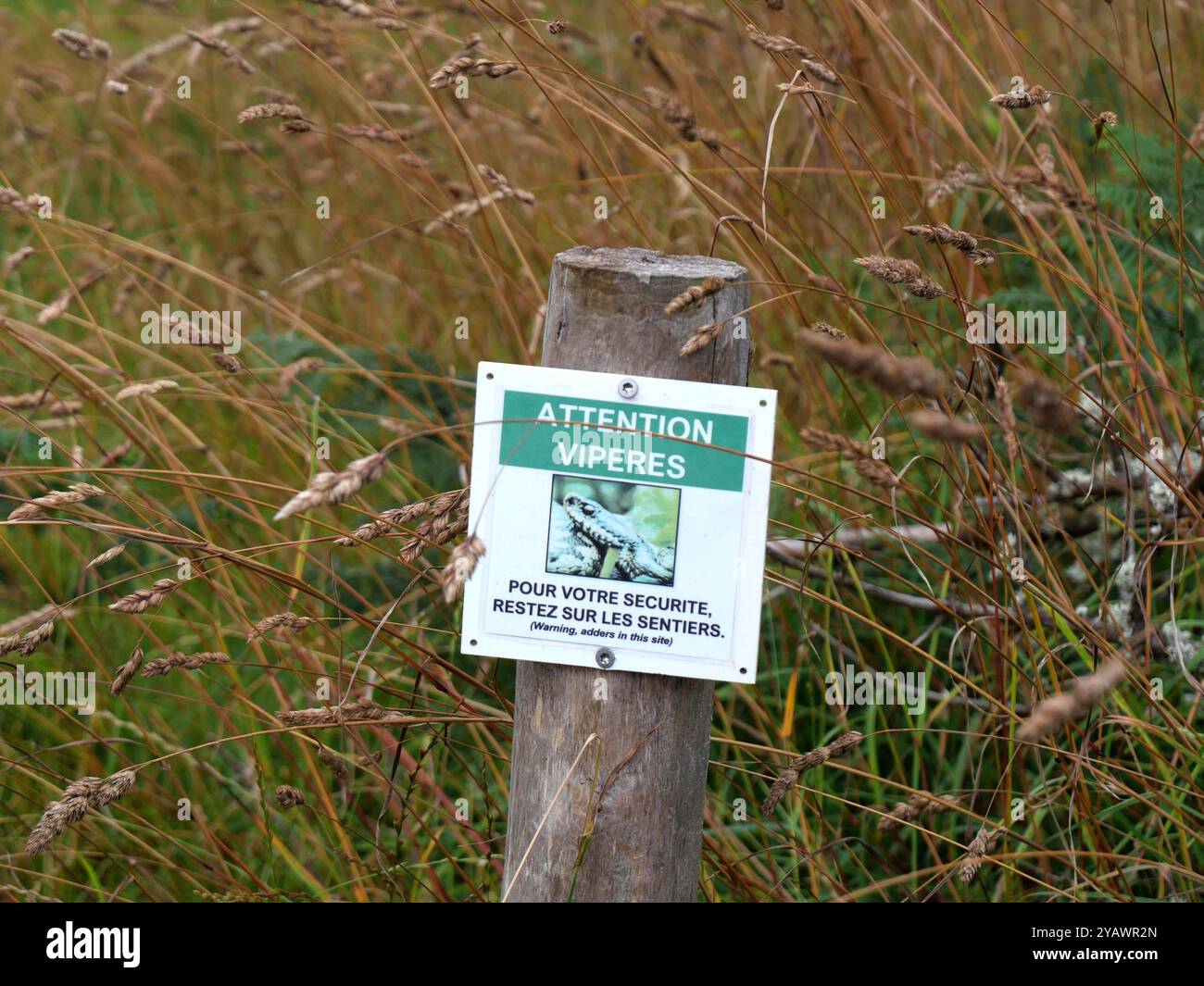 Brittany. Pointe du Chateau in the town of Plougrescant in the Cotes d ...