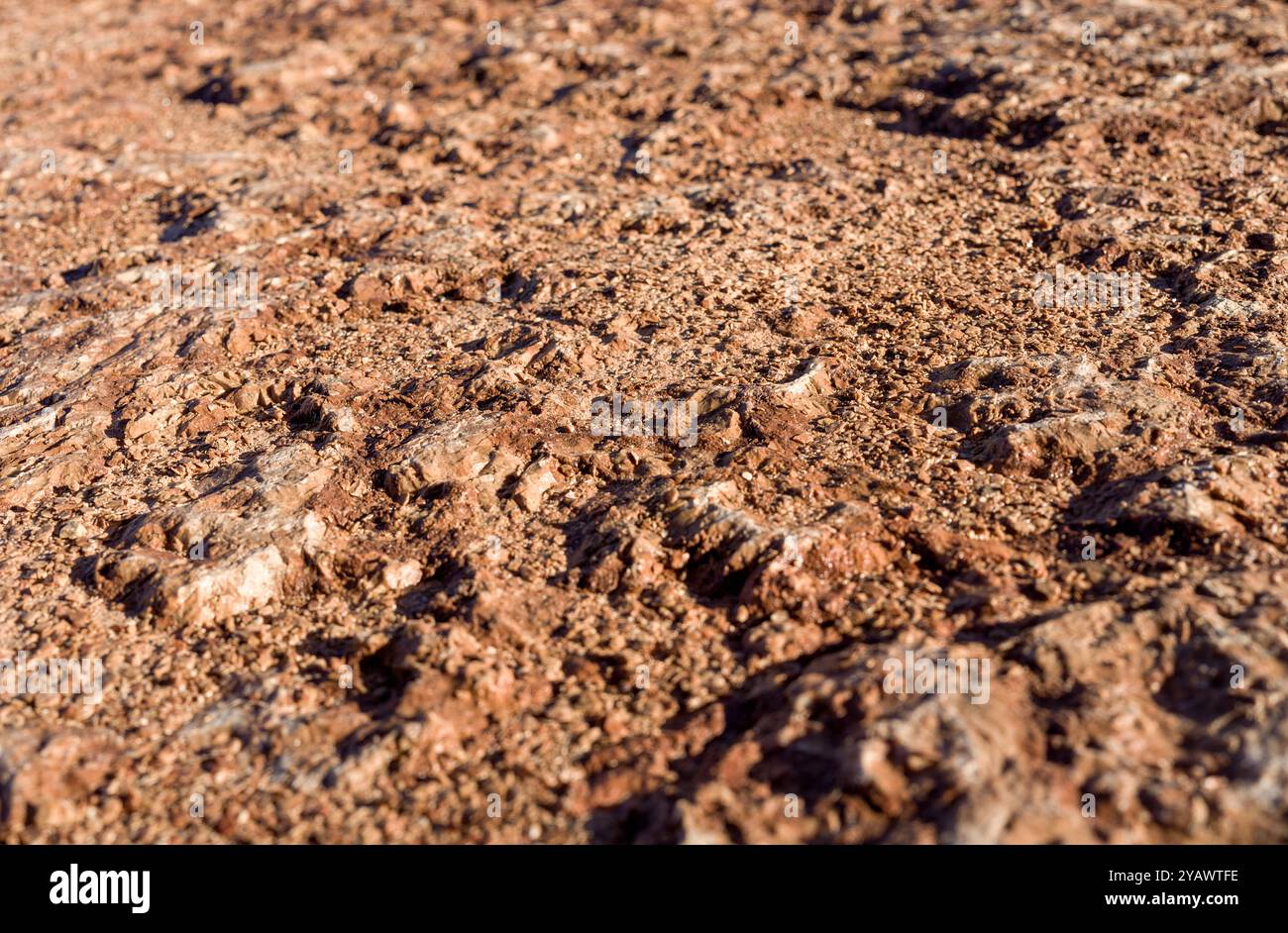 Texture of a slab of granite marble, extracted in Italy Stock Photo - Alamy