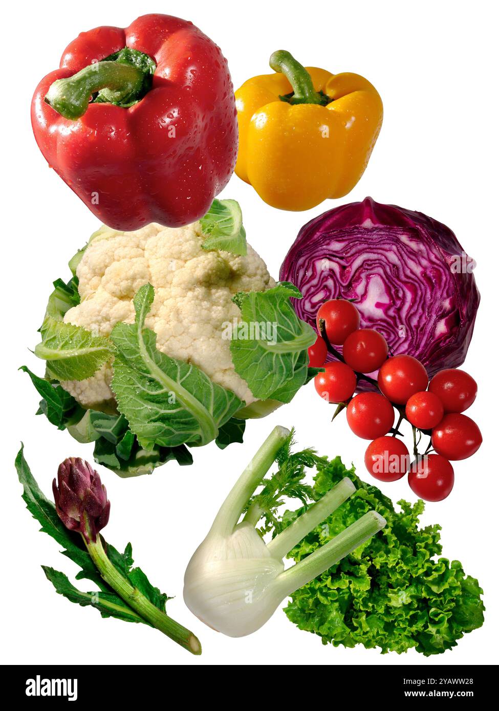 Still life with various types of colored vegetables, on a white ...
