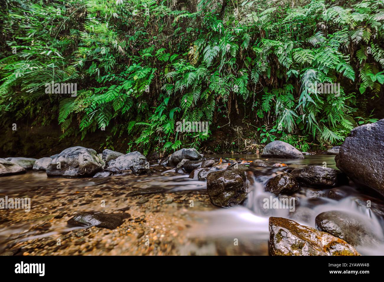 River flow on rocky river. Beautiful landscape of mountain river. River ...