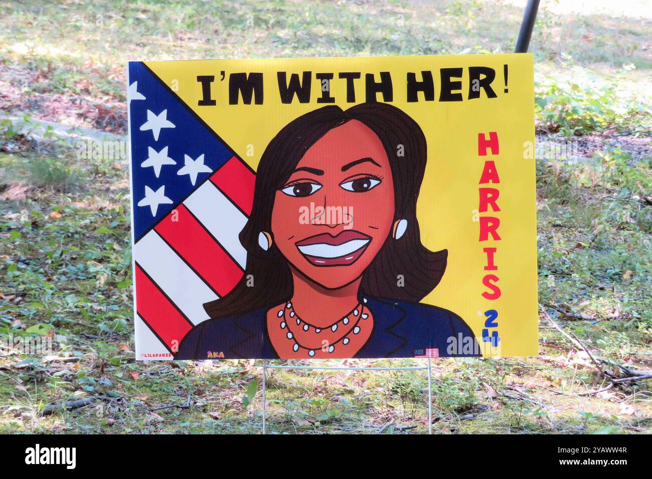 Political Yard Signs, private Wahlplakate, und Wahlwerbung zur ...