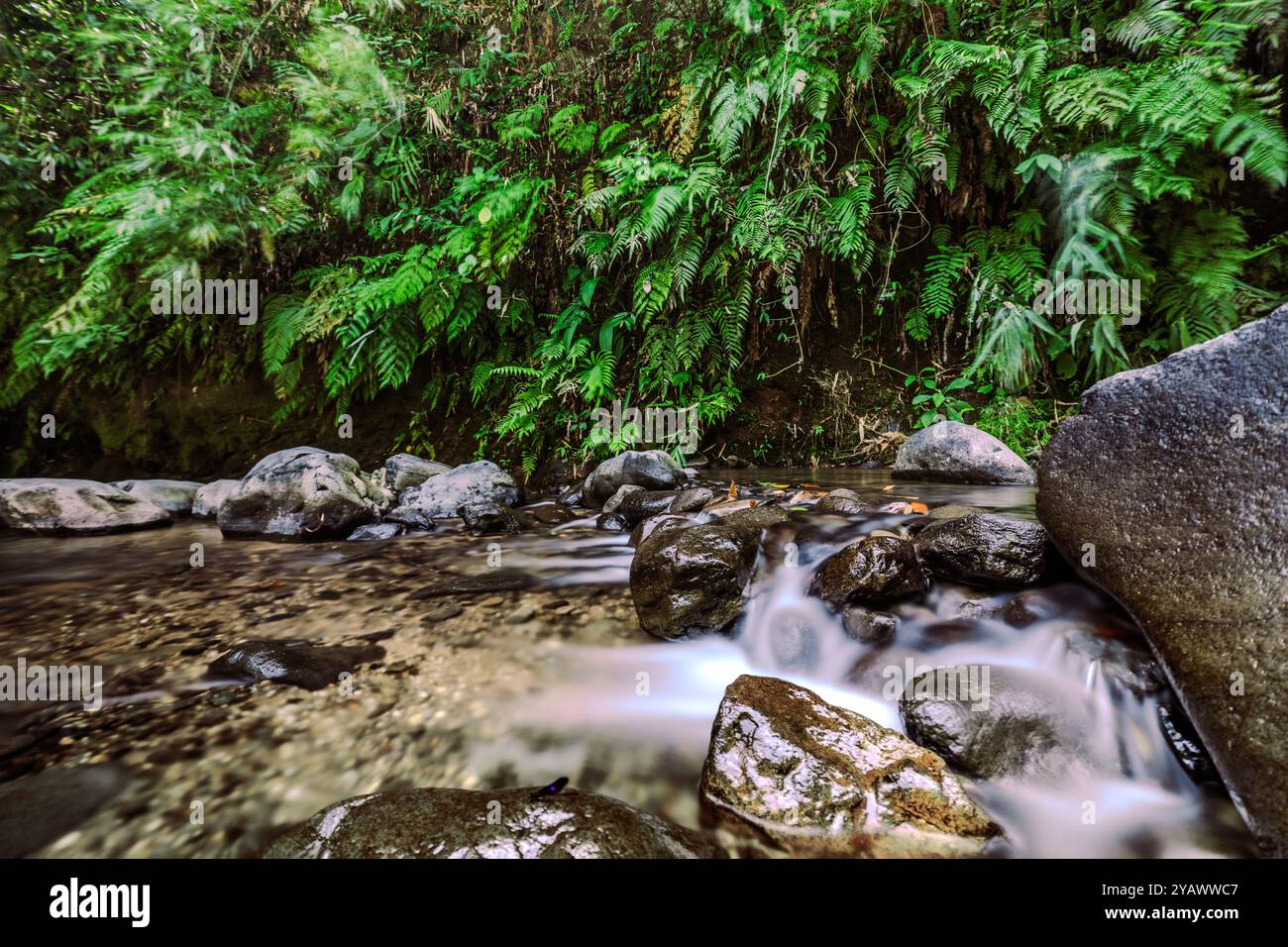 River flow on rocky river. Beautiful landscape of mountain river. River ...