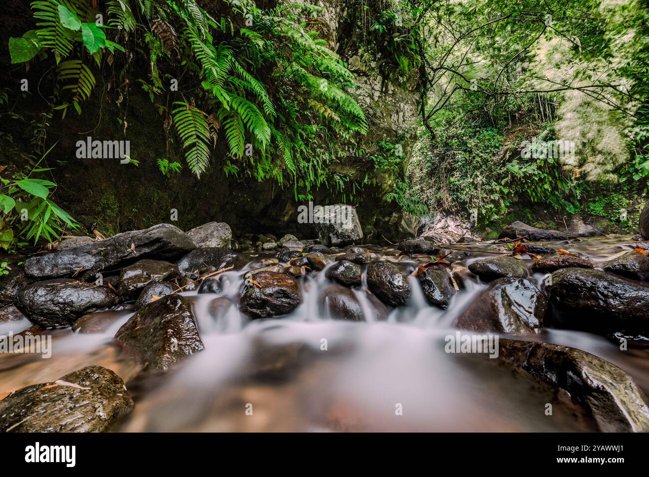 River flow on rocky river. Beautiful landscape of mountain river. River ...