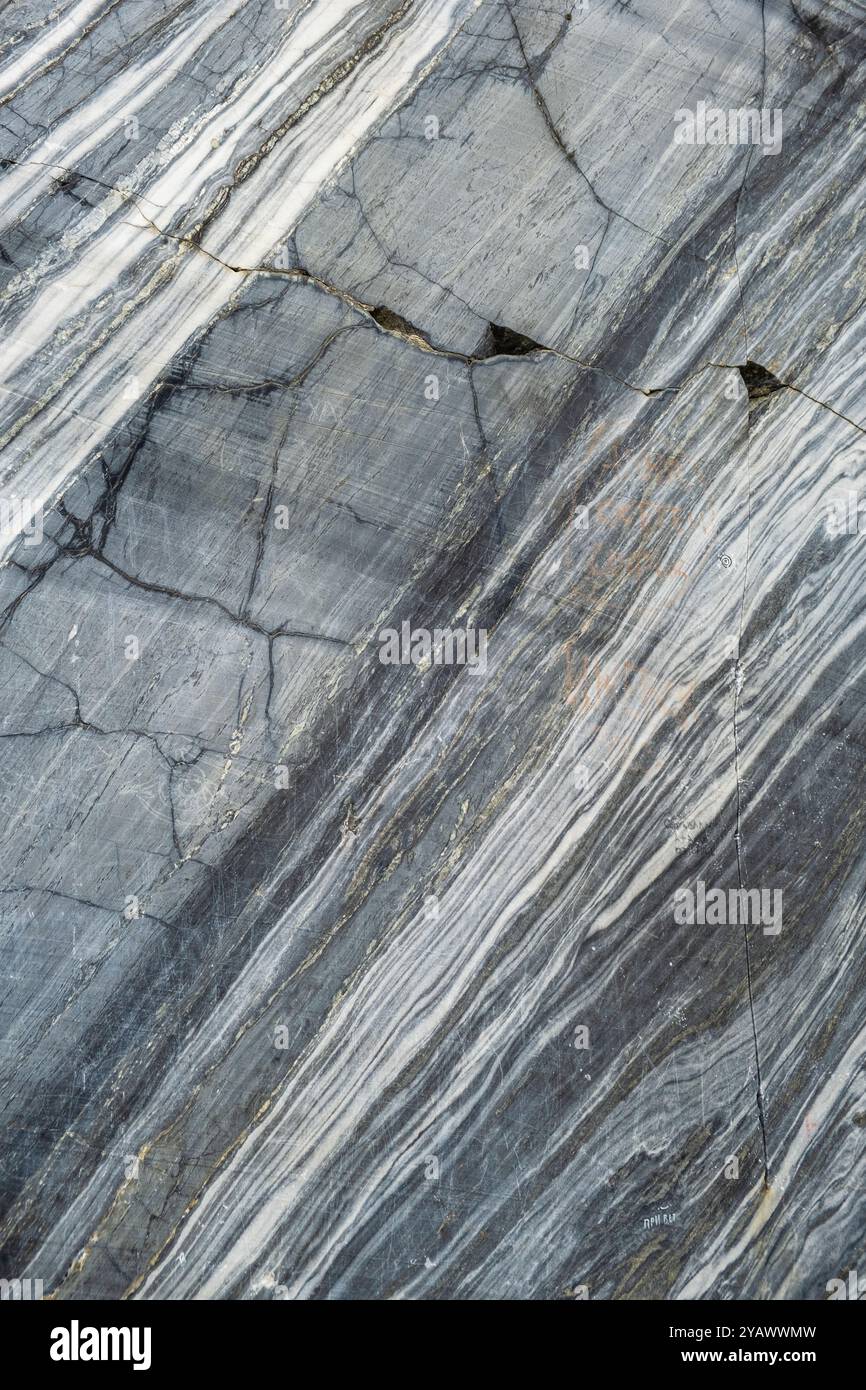 This polished dark marble surface features beautiful white veining ...