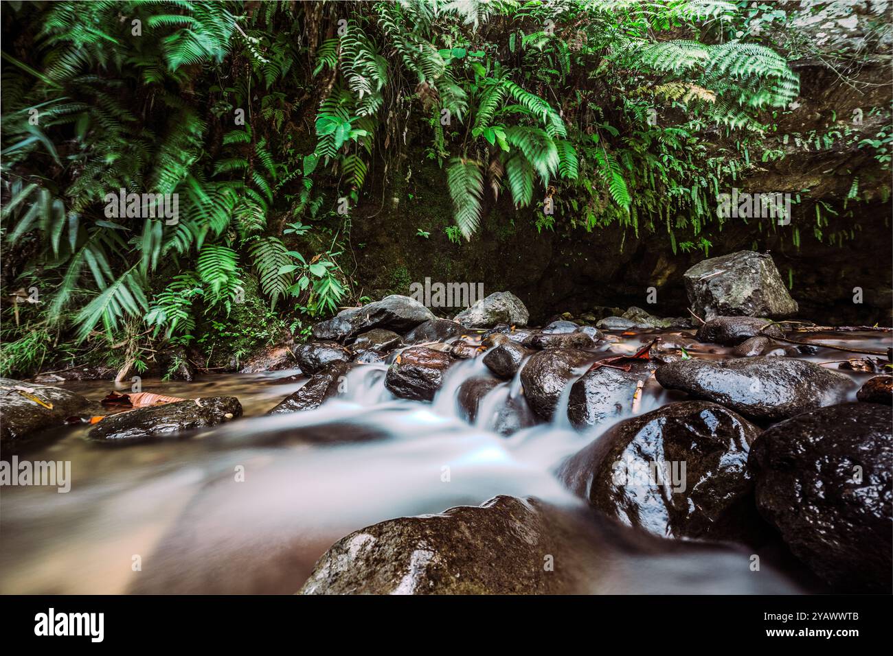 River flow on rocky river. Beautiful landscape of mountain river. River ...