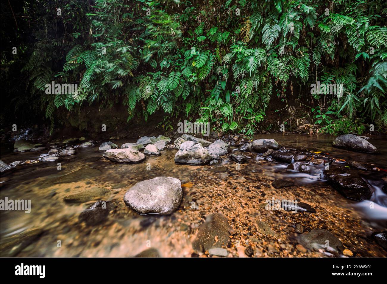 Pristine water fall flowing hi-res stock photography and images - Alamy