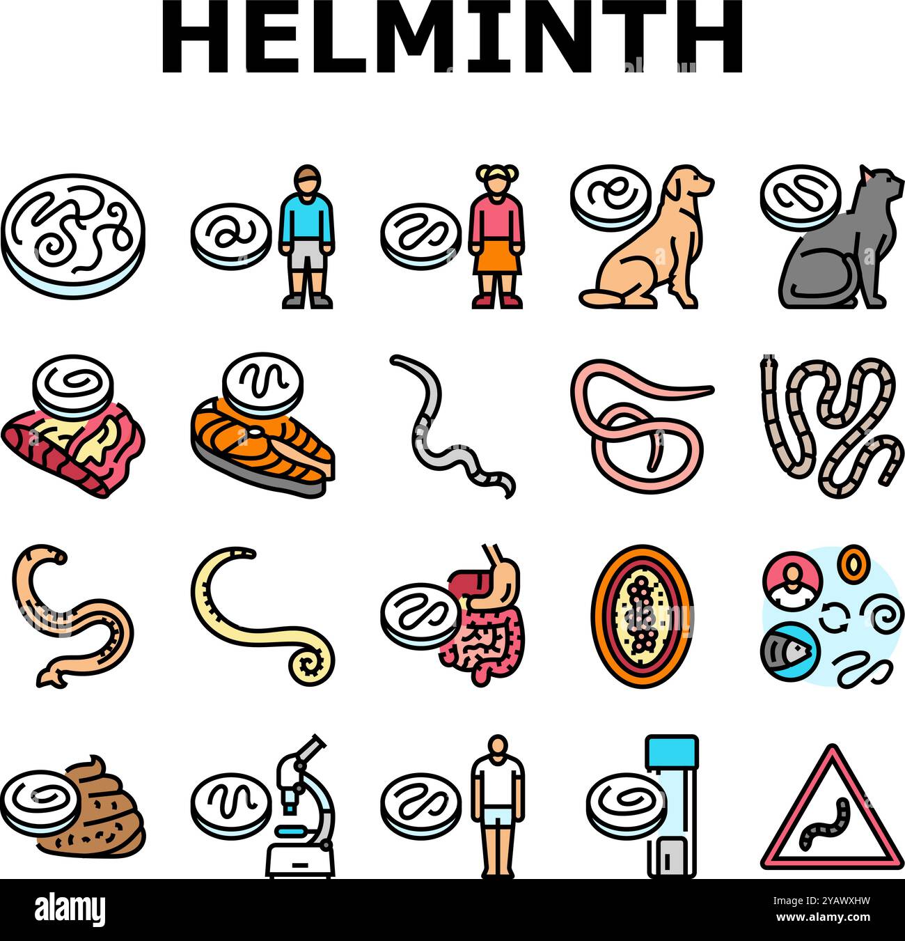 helminth worm parasite roundworm icons set vector Stock Vector Image ...