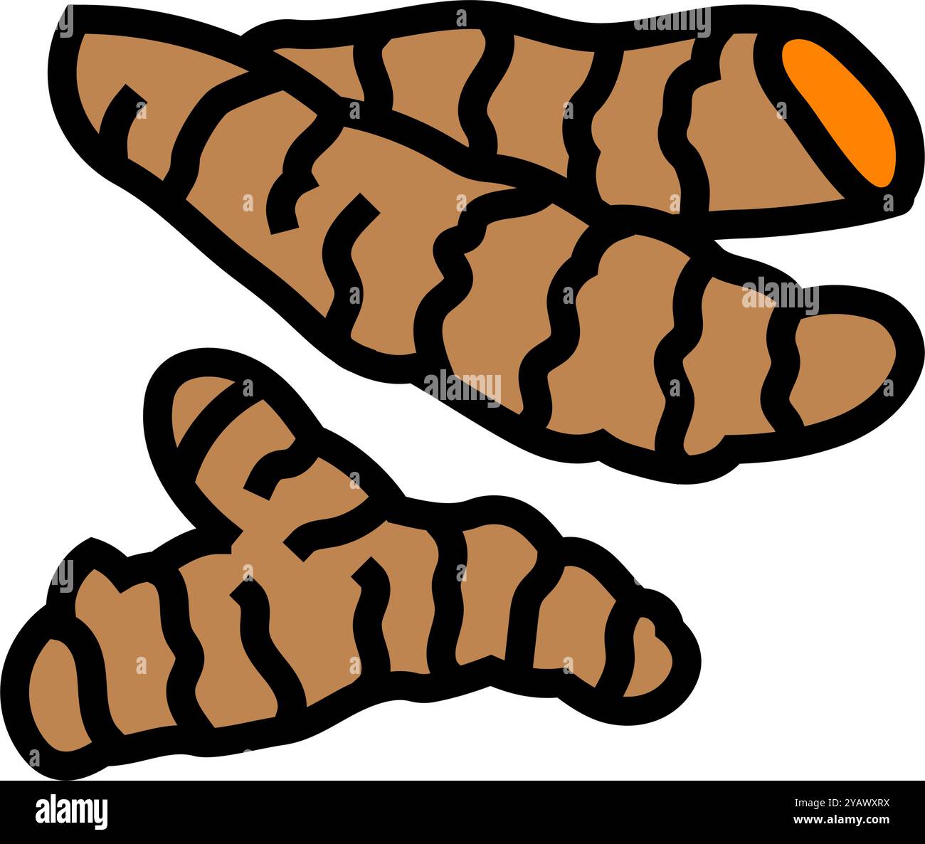 turmeric root ayurvedic herb color icon vector illustration Stock ...