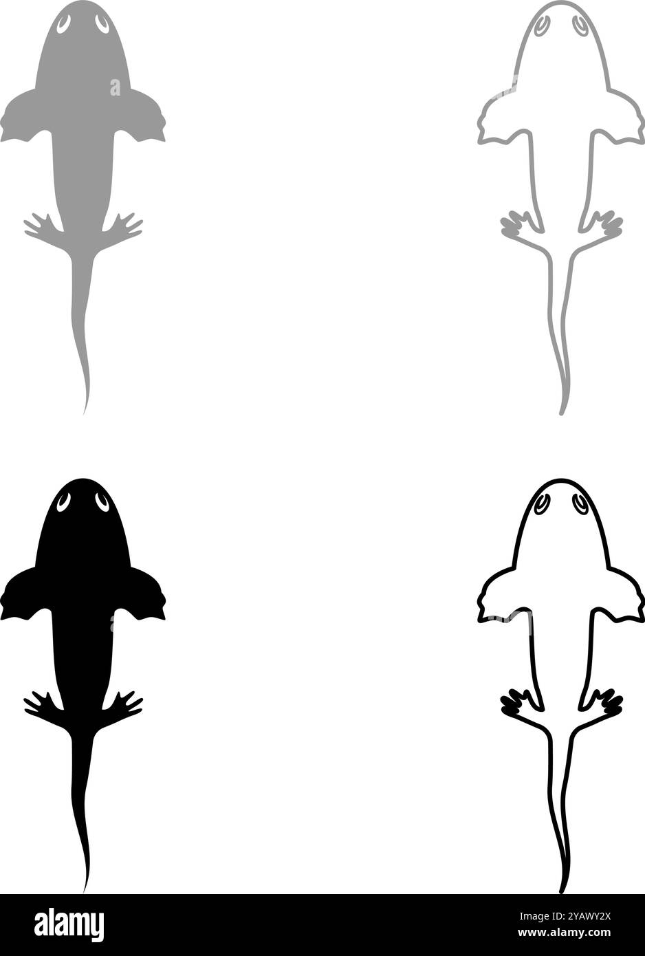 Axolotl ambystoma mexicanum overhead view set icon grey black color ...