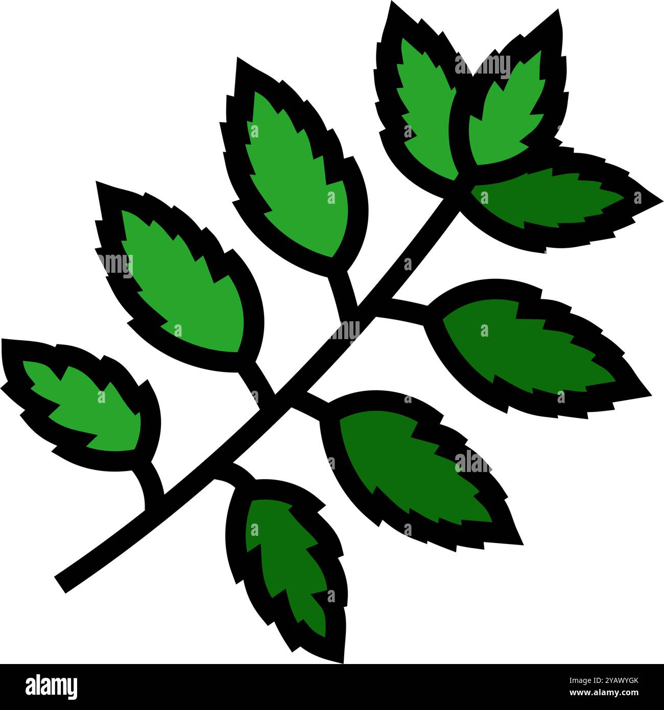 neem leaves ayurvedic herb color icon vector illustration Stock Vector ...