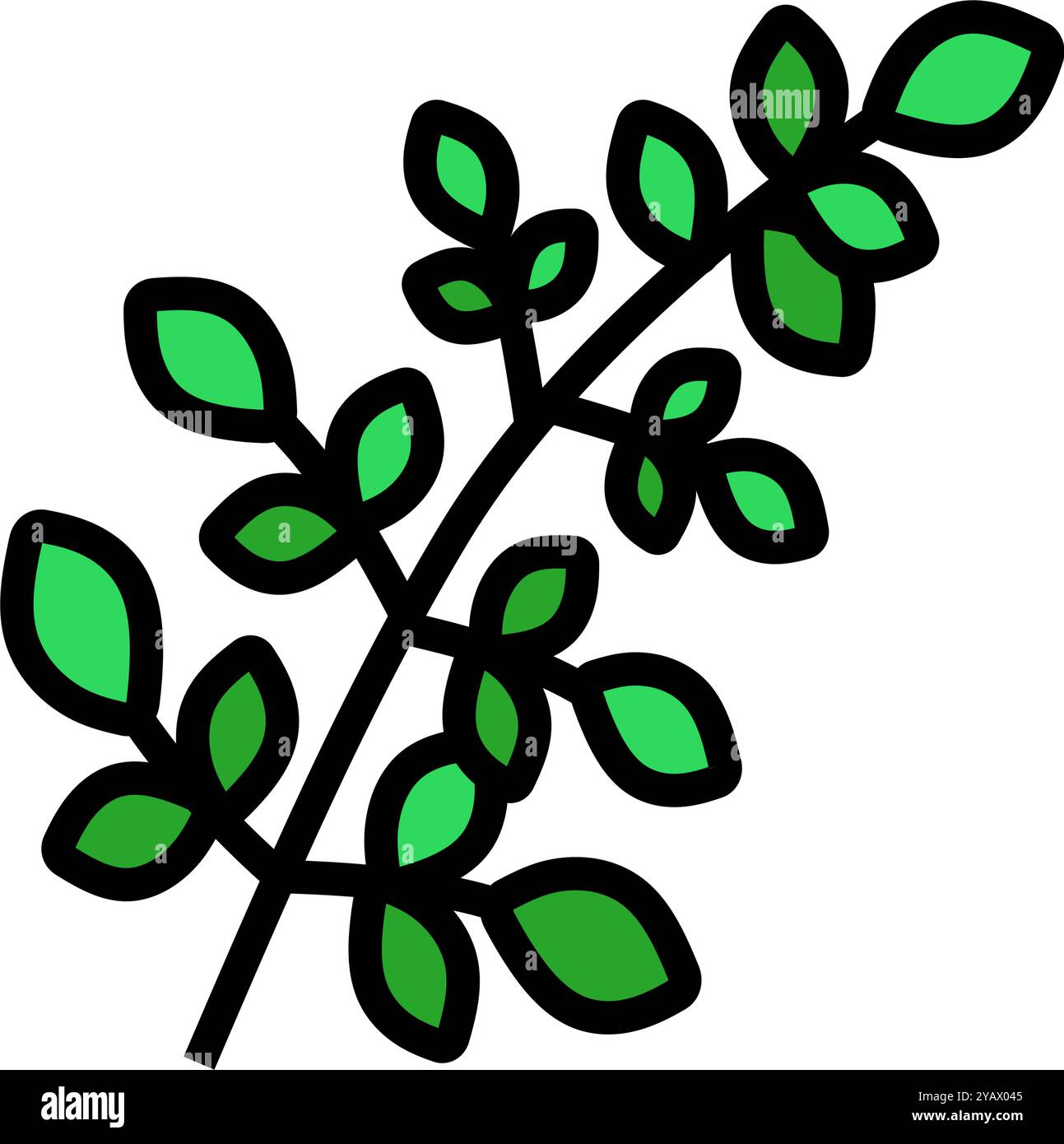 moringa leaves ayurvedic herb color icon vector illustration Stock ...