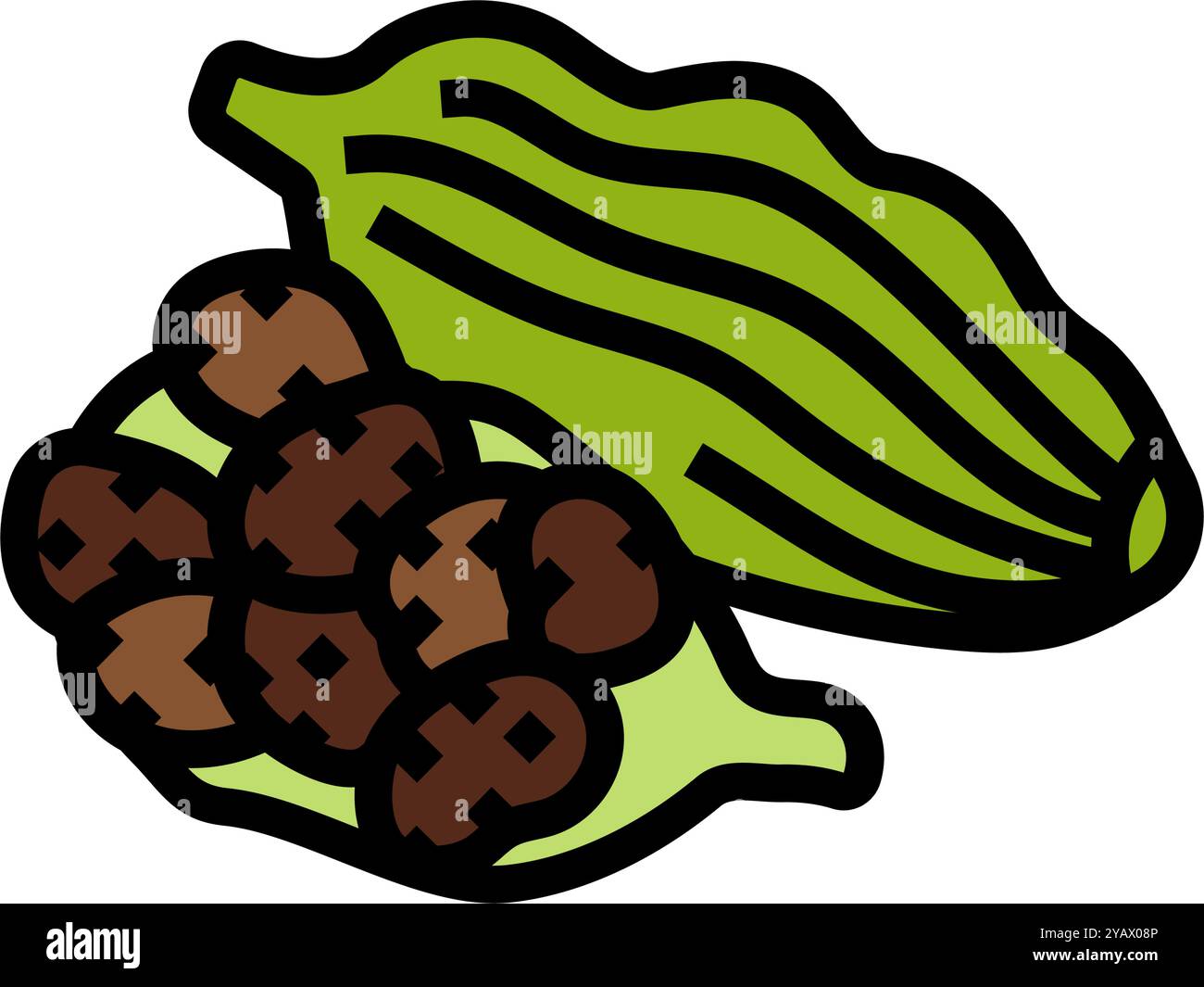cardamom pods ayurvedic herb color icon vector illustration Stock ...