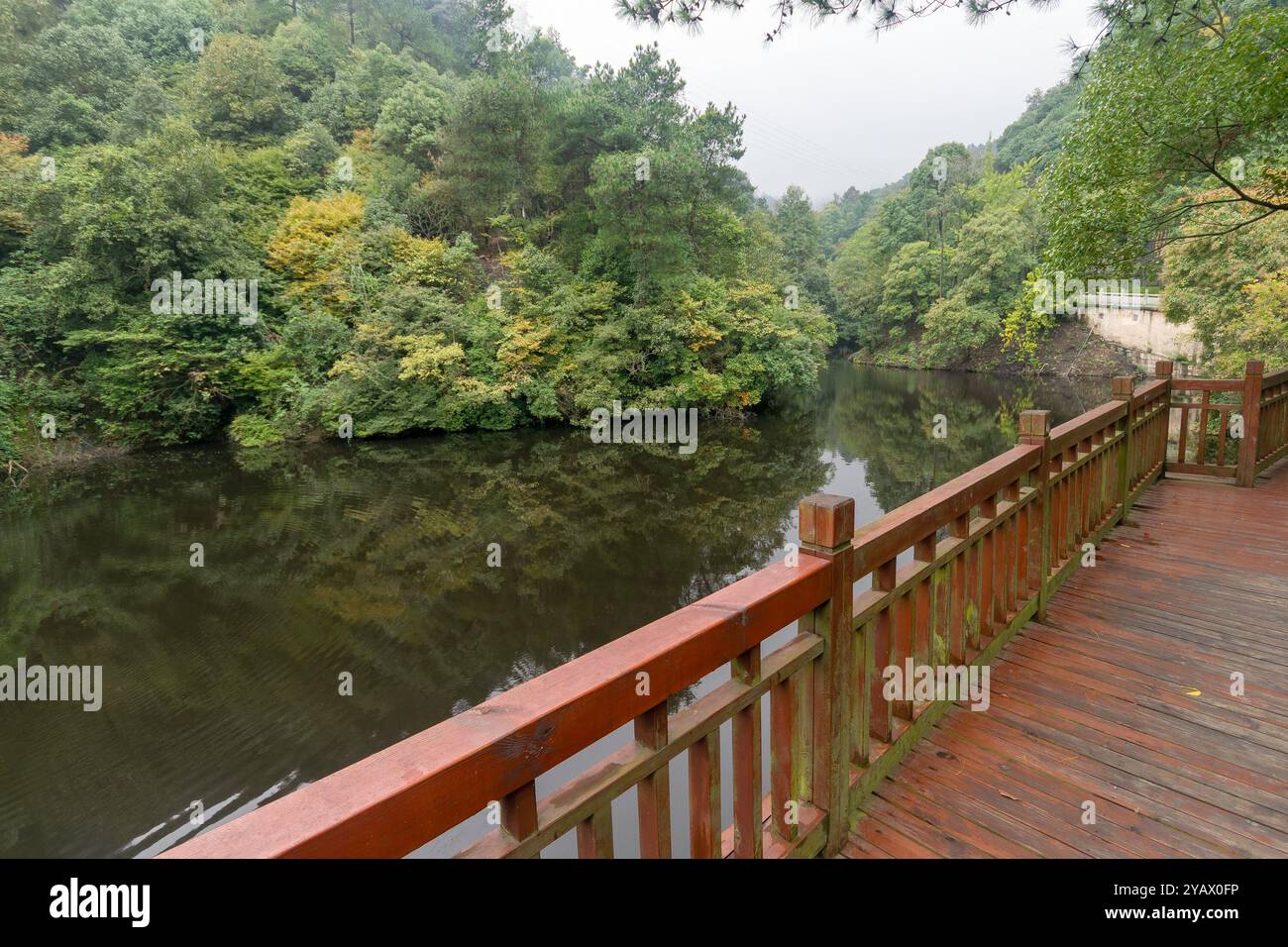 redwood bridge along forest lake in park Stock Photo - Alamy