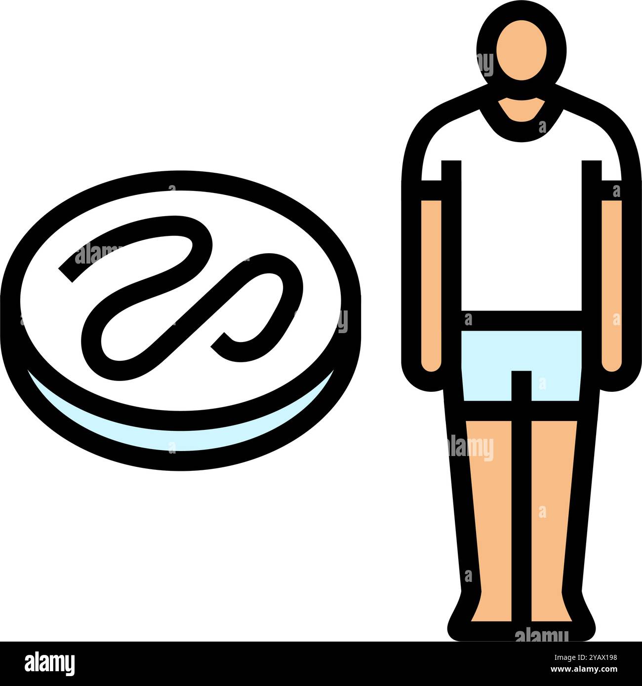 Human whipworm hi-res stock photography and images - Alamy