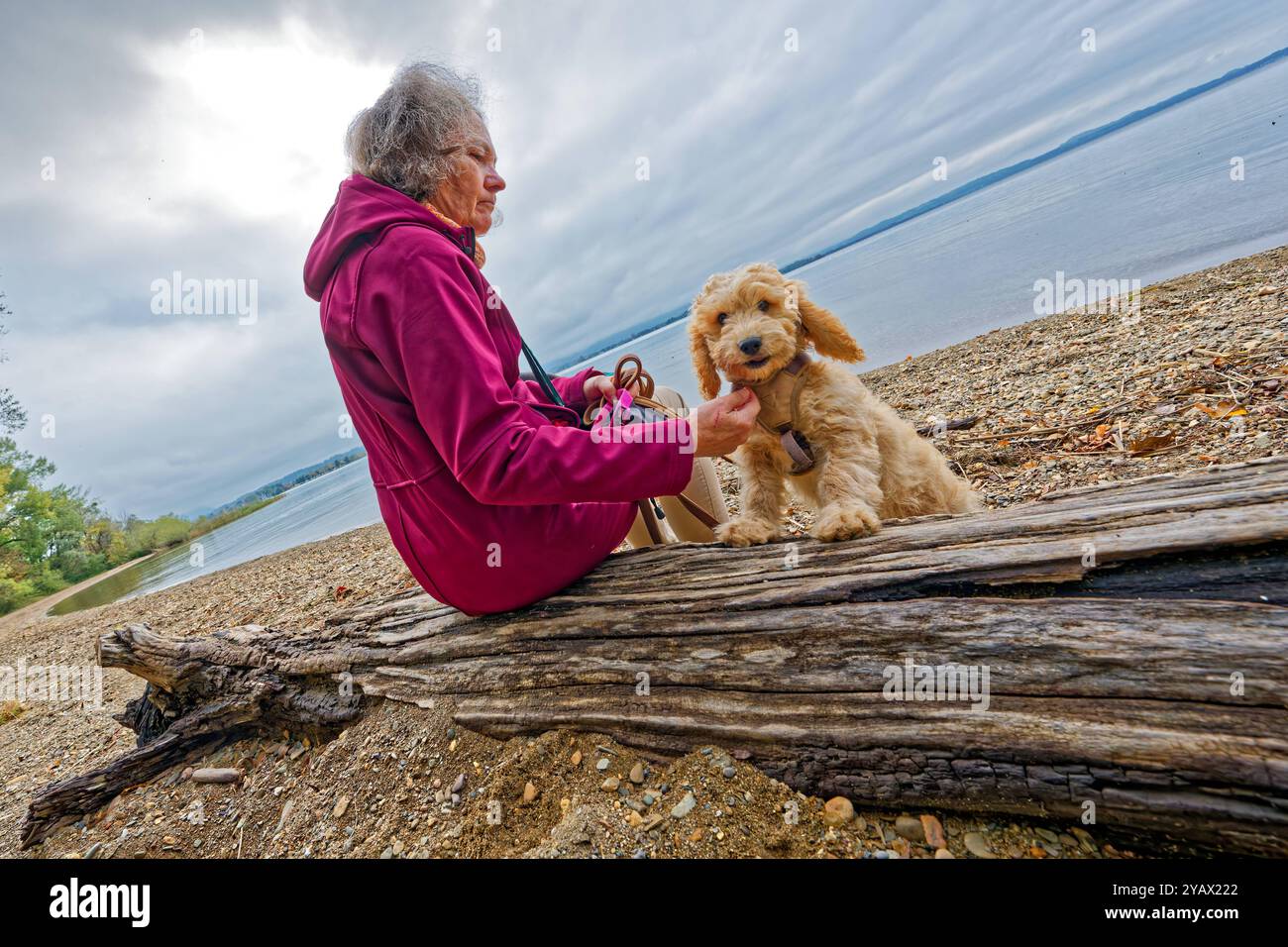 Der treue Begleiter. Die Frau mit ihrem Hund am Seeufer. Feldwies ...
