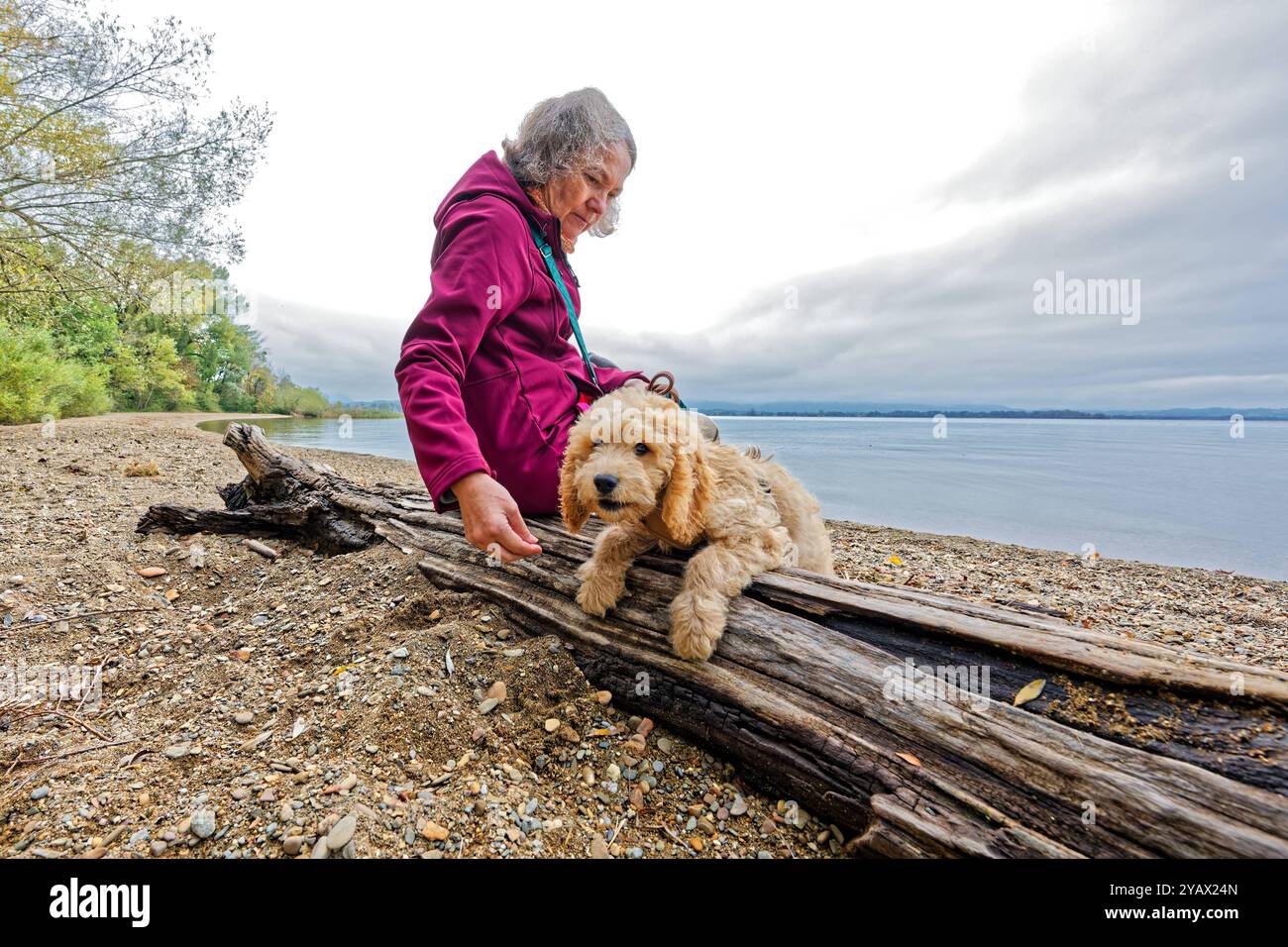 Der treue Begleiter. Die Frau mit ihrem Hund am Seeufer. Feldwies ...