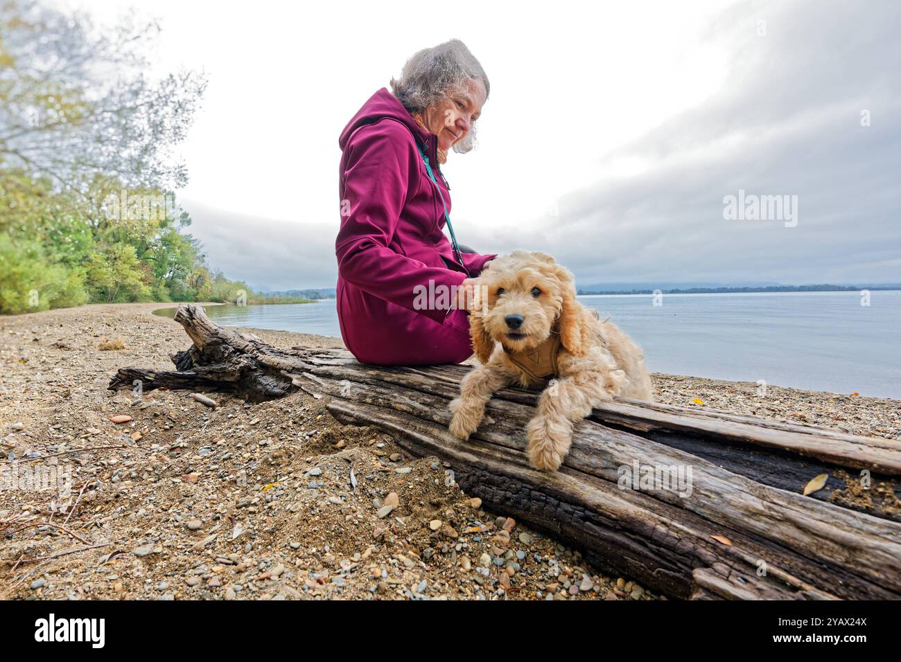 Der treue Begleiter. Die Frau mit ihrem Hund am Seeufer. Feldwies ...