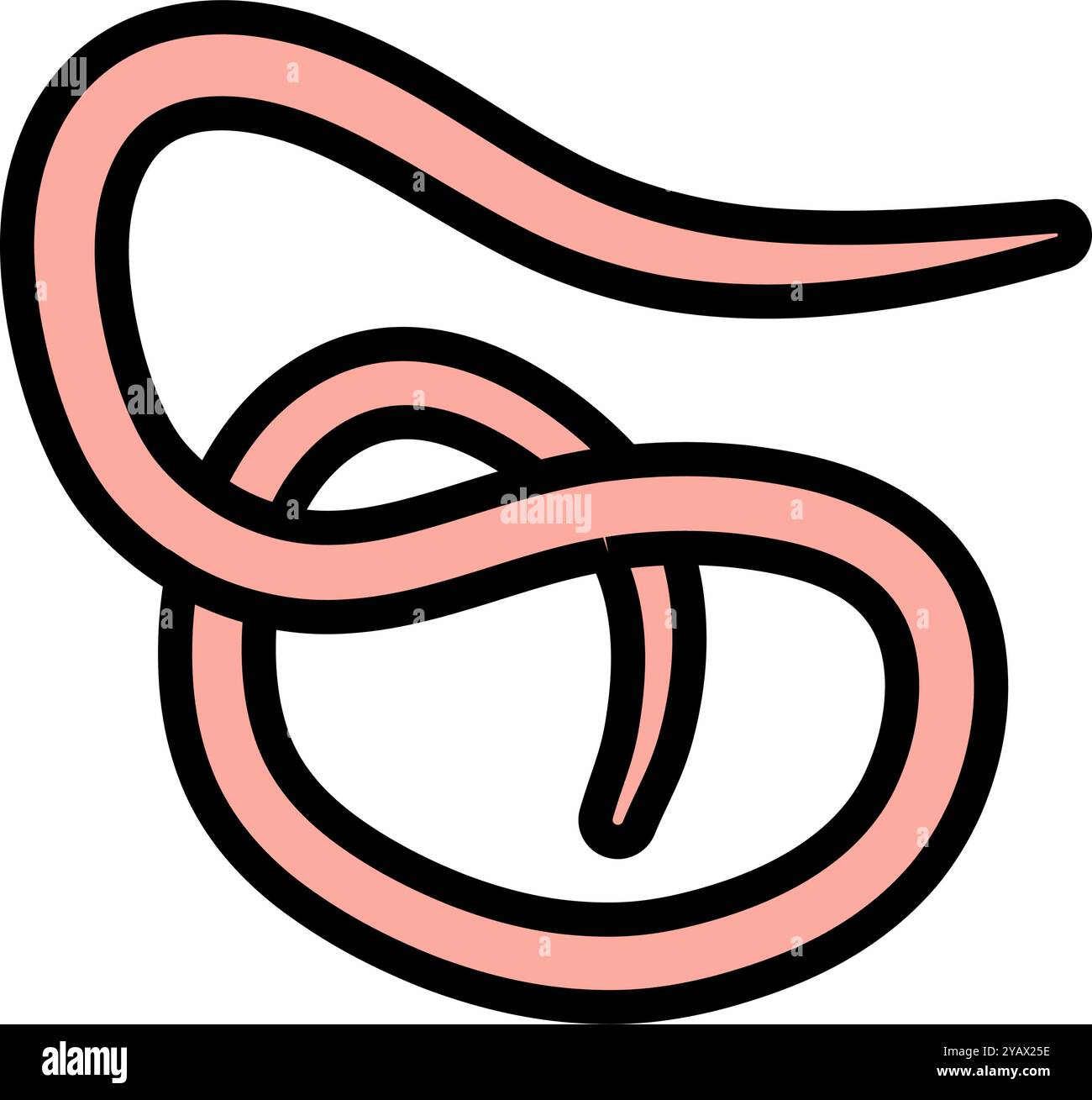 roundworm parasite color icon vector illustration Stock Vector Image ...