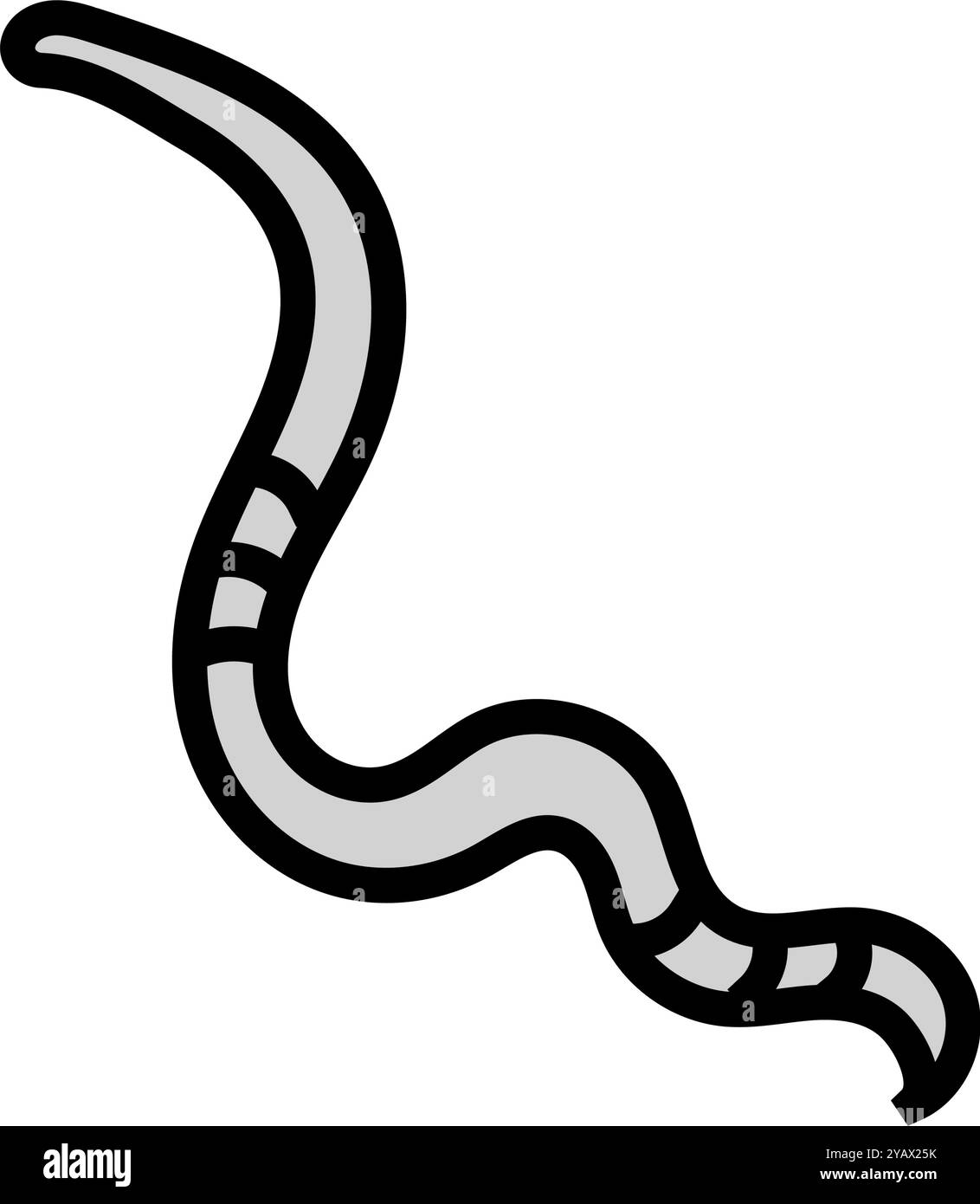 Lice vector Black and White Stock Photos & Images - Alamy