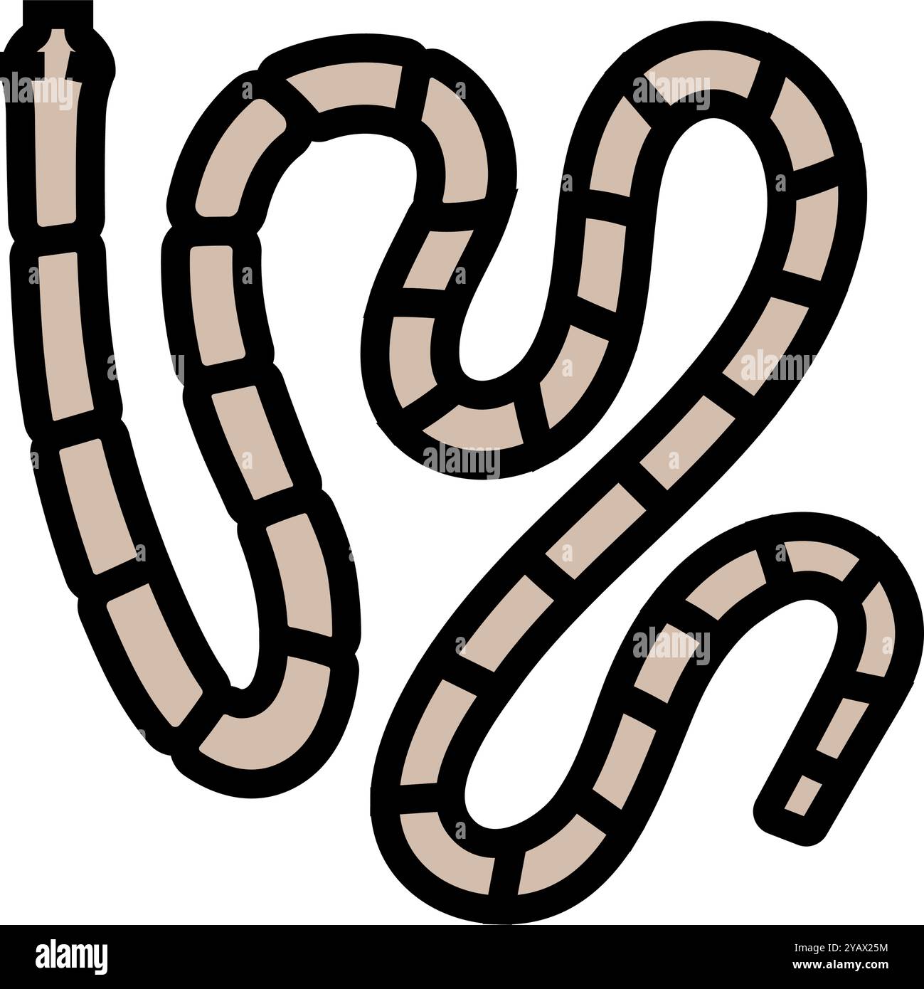 tapeworm parasite color icon vector illustration Stock Vector Image ...