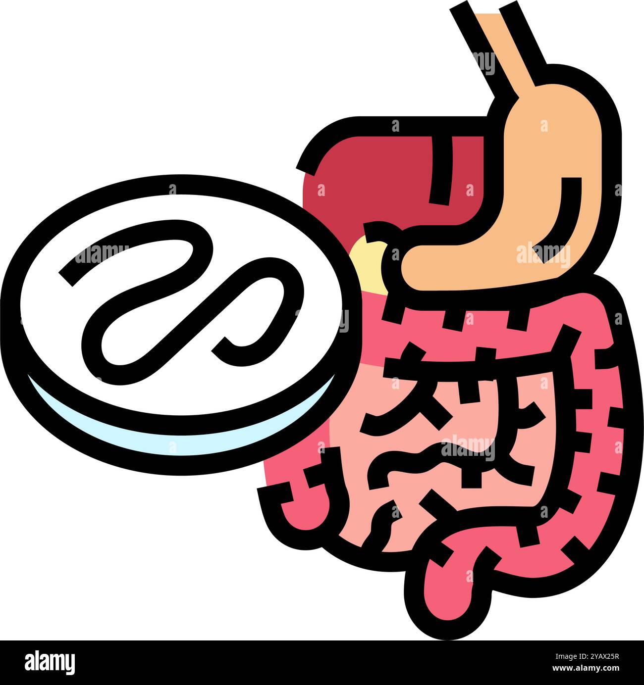 worm digestive system parasite color icon vector illustration Stock ...