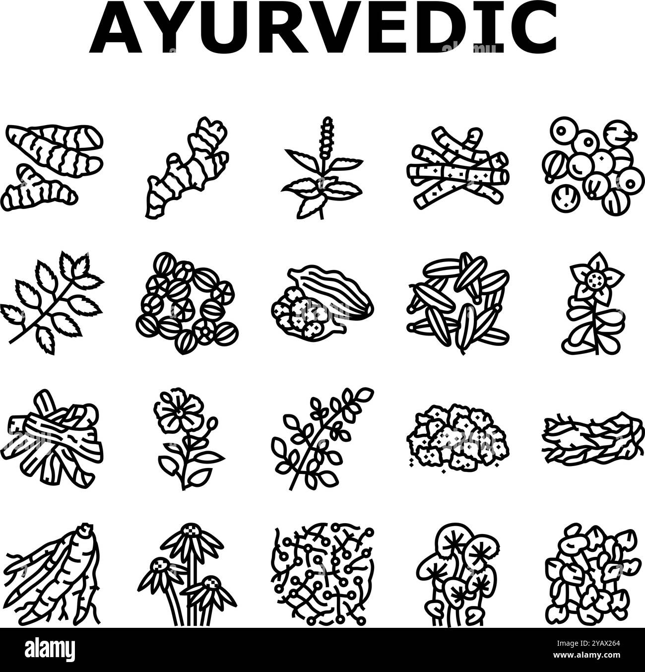 ayurvedic herbs medicine health icons set vector Stock Vector Image ...