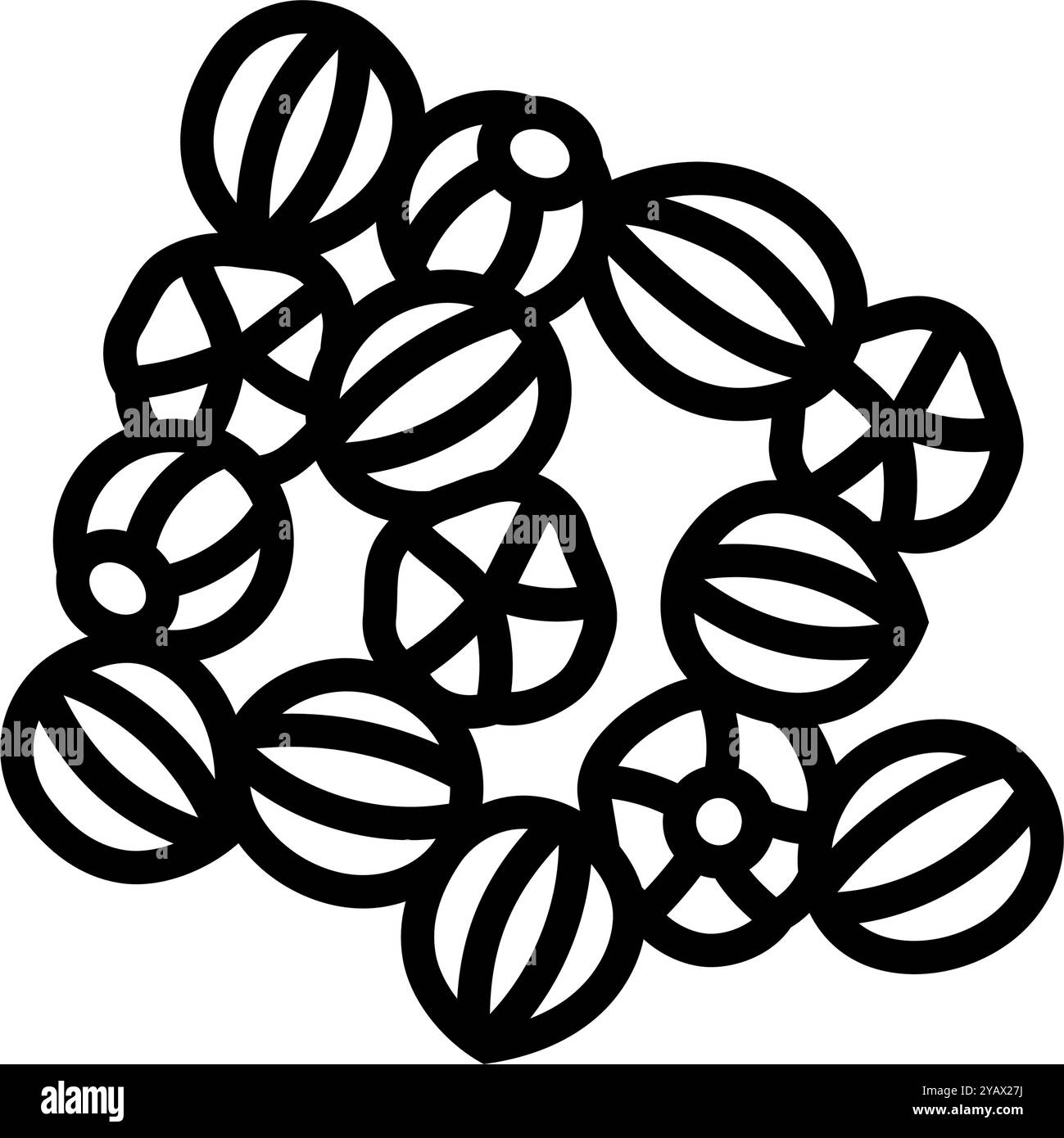 coriander seeds ayurvedic herb line icon vector illustration Stock ...