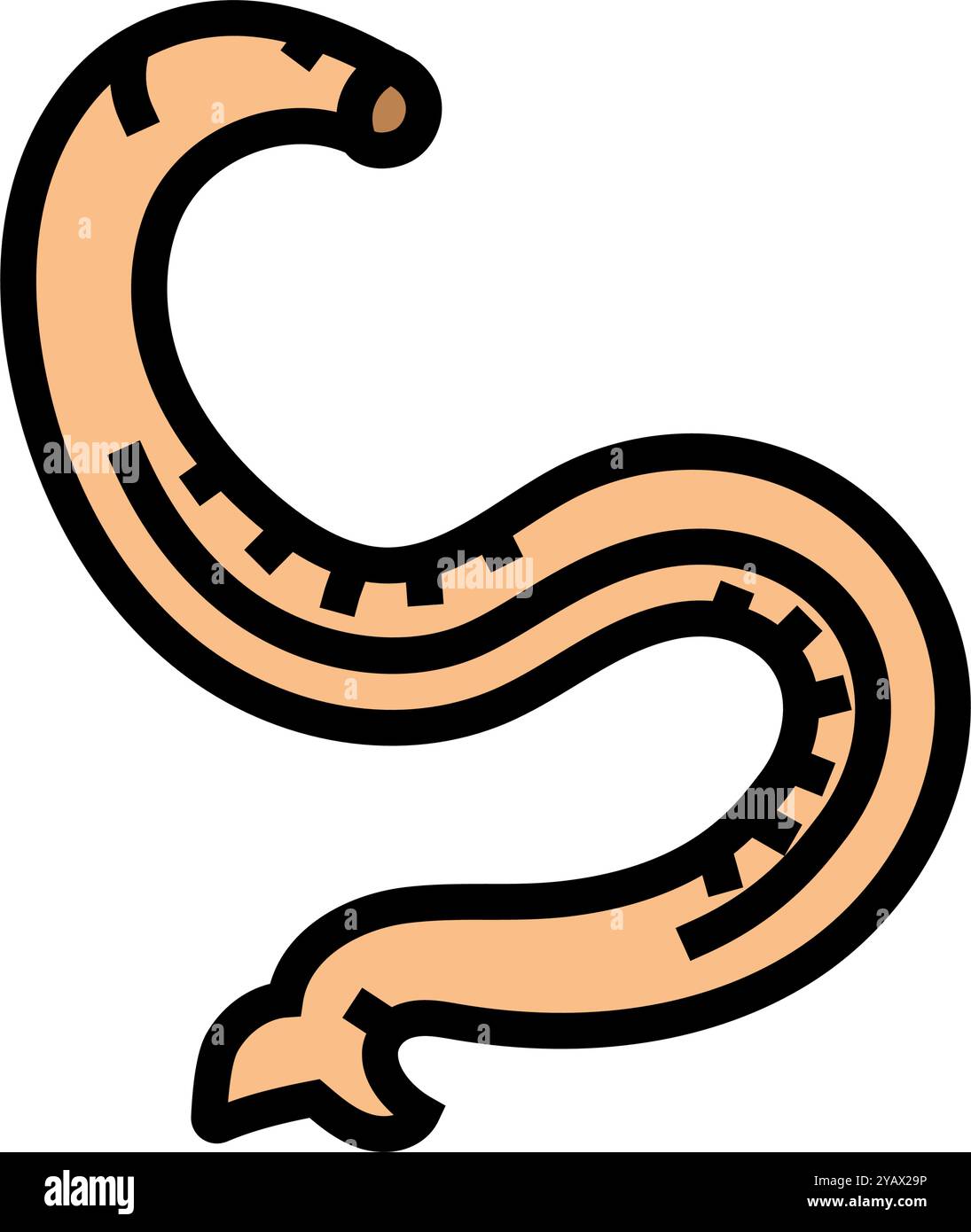 hookworm parasite color icon vector illustration Stock Vector Image ...