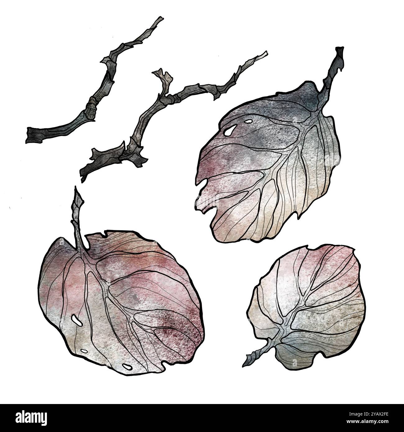 Watercolor drawing of plant leaves. filled with soft, subtle and ...
