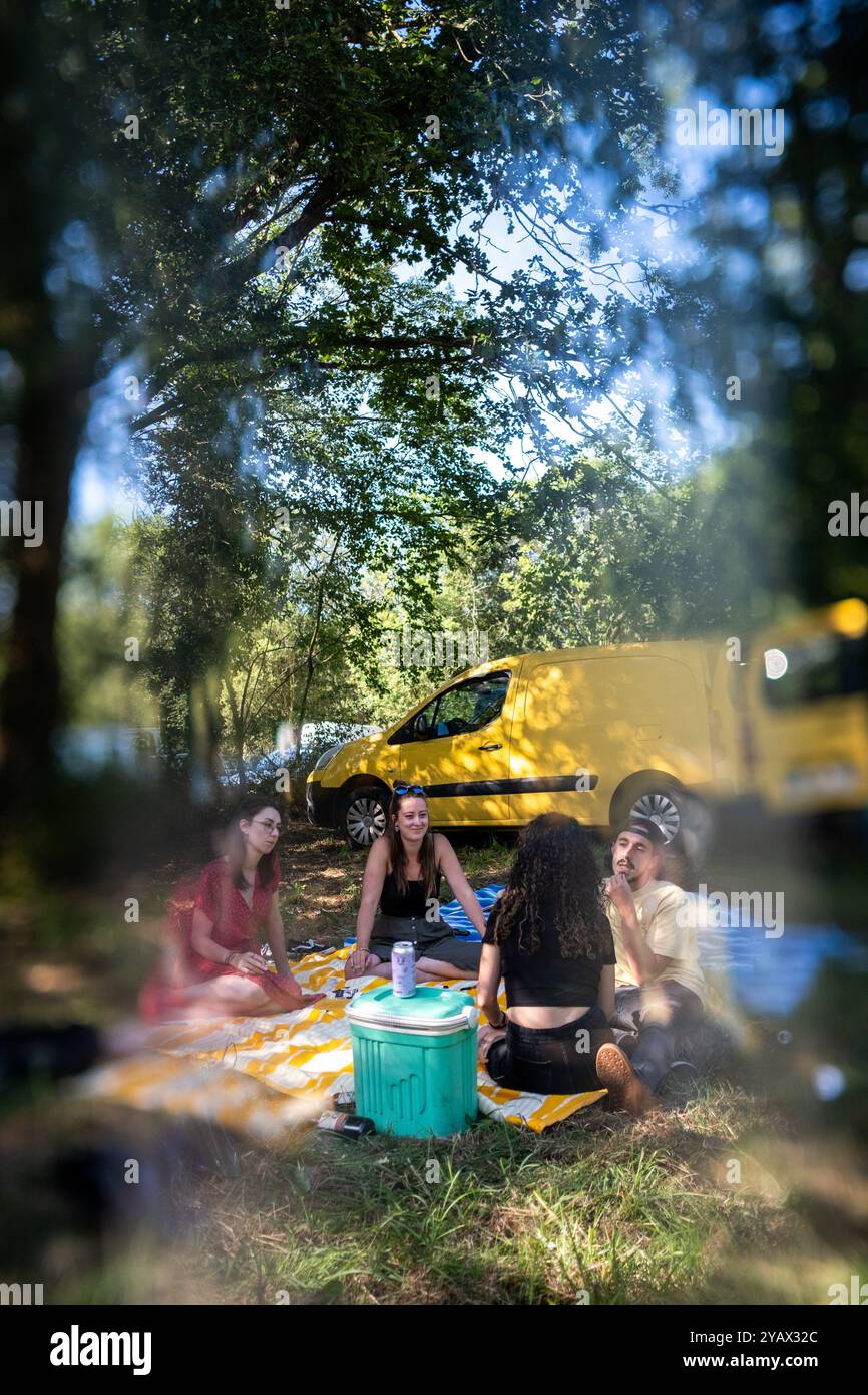 Group of young people having a picnic in nature under the trees at the ...