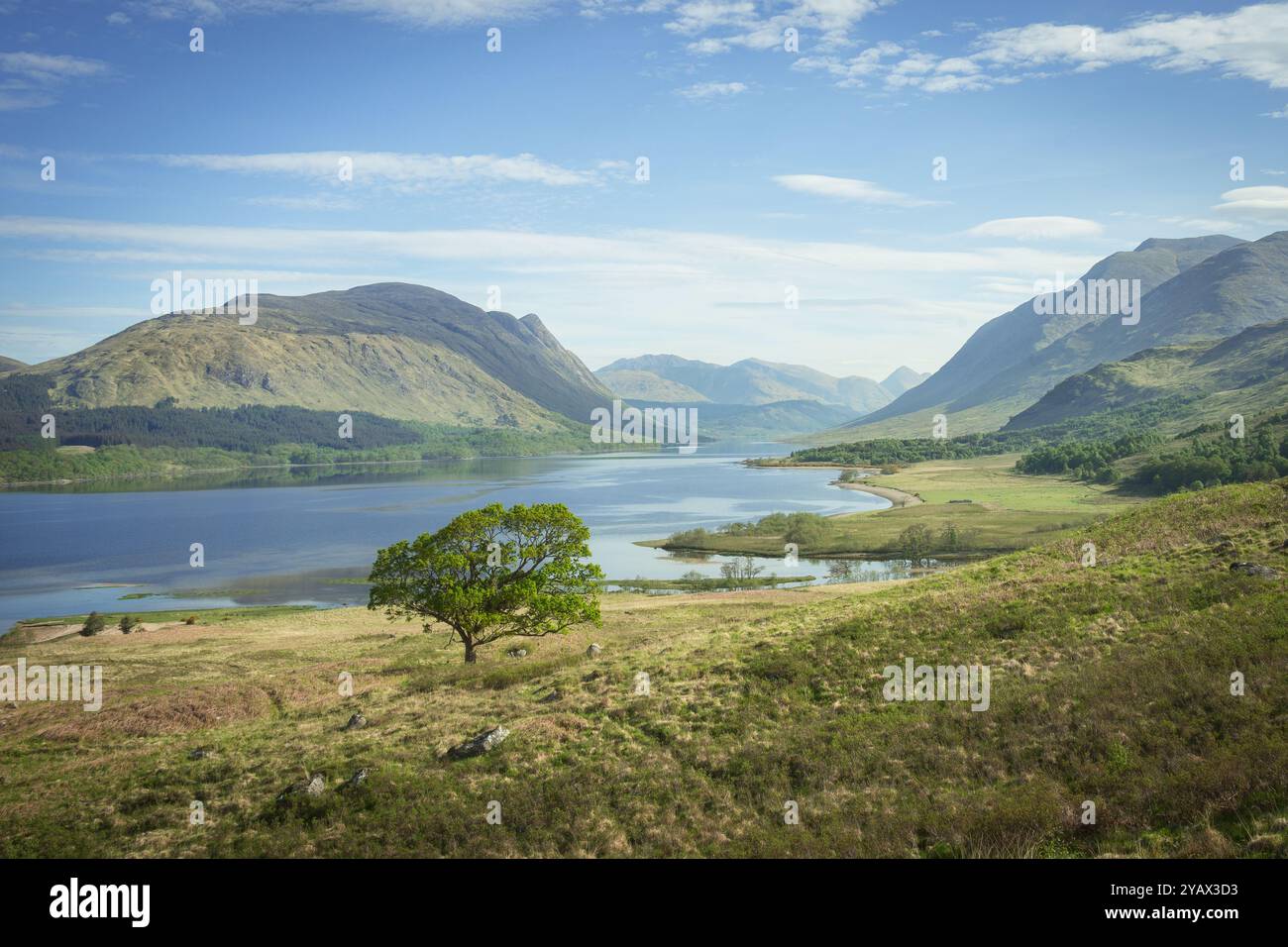 Loch Etive, Western Highlands Stock Photo - Alamy