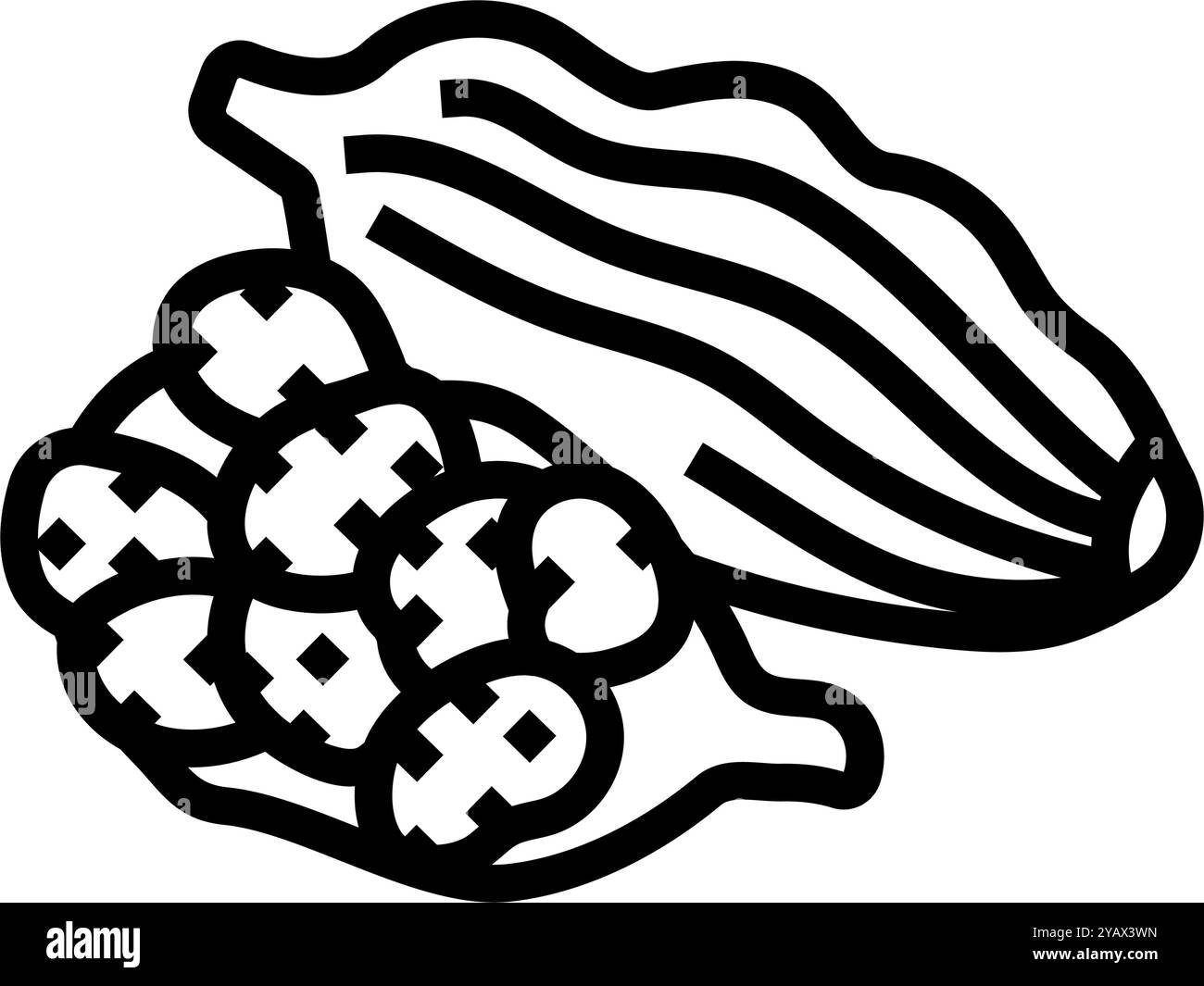 cardamom pods ayurvedic herb line icon vector illustration Stock Vector ...