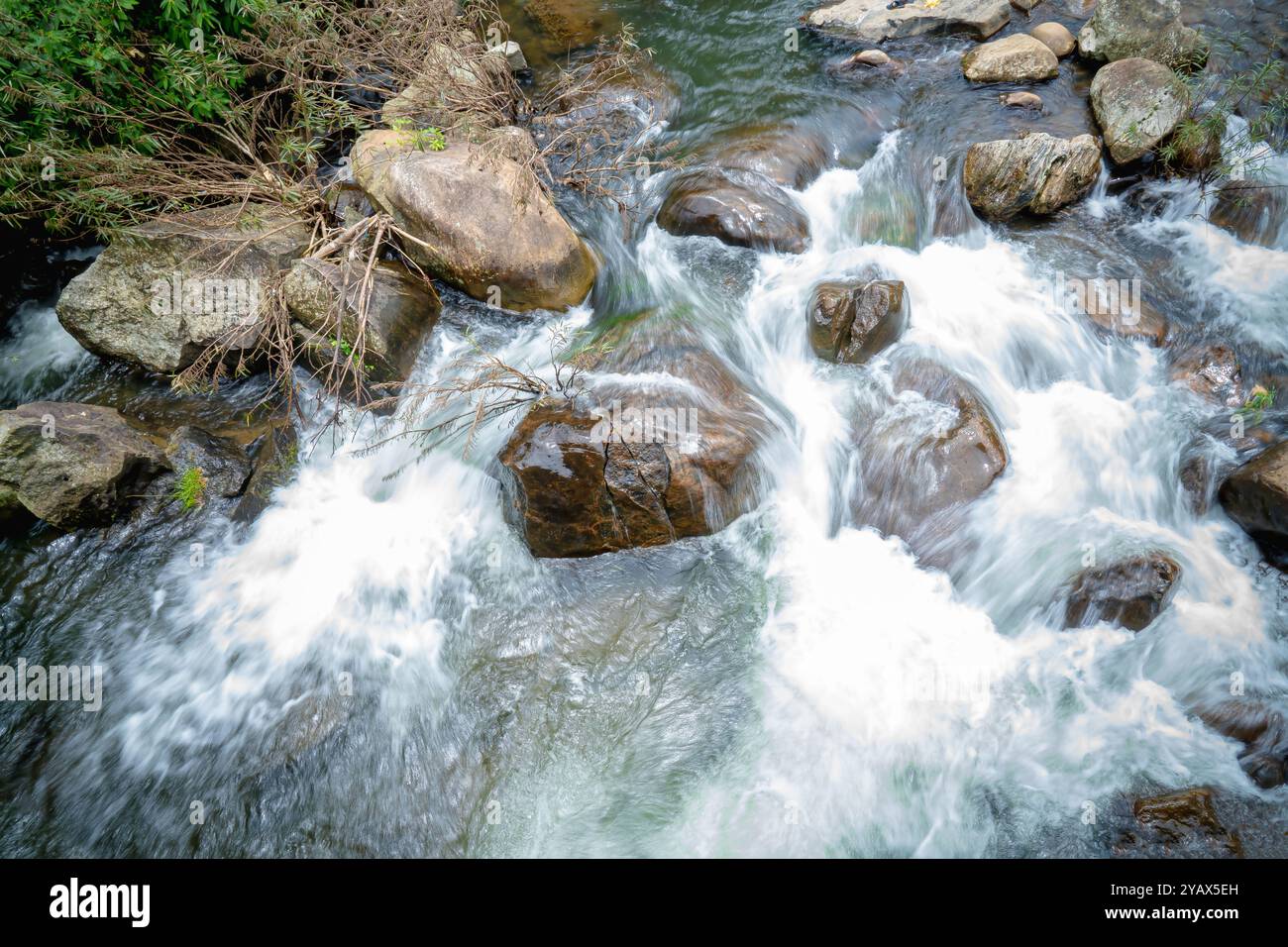 Pond inside forest hi-res stock photography and images - Alamy