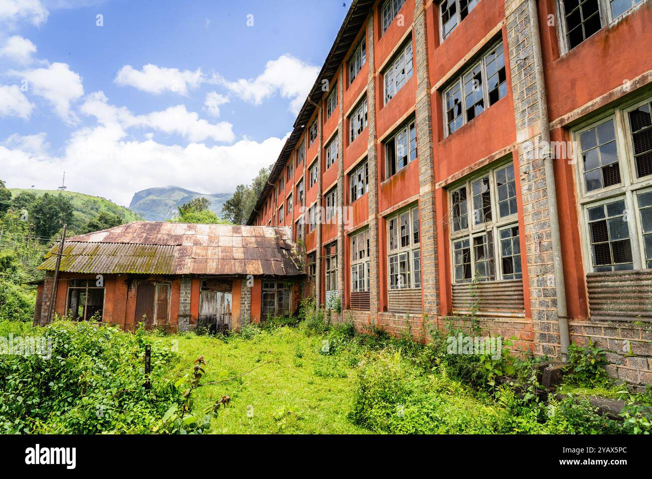 Abandoned tea factory Nilgiri, Tamil Nadu India Stock Photo - Alamy