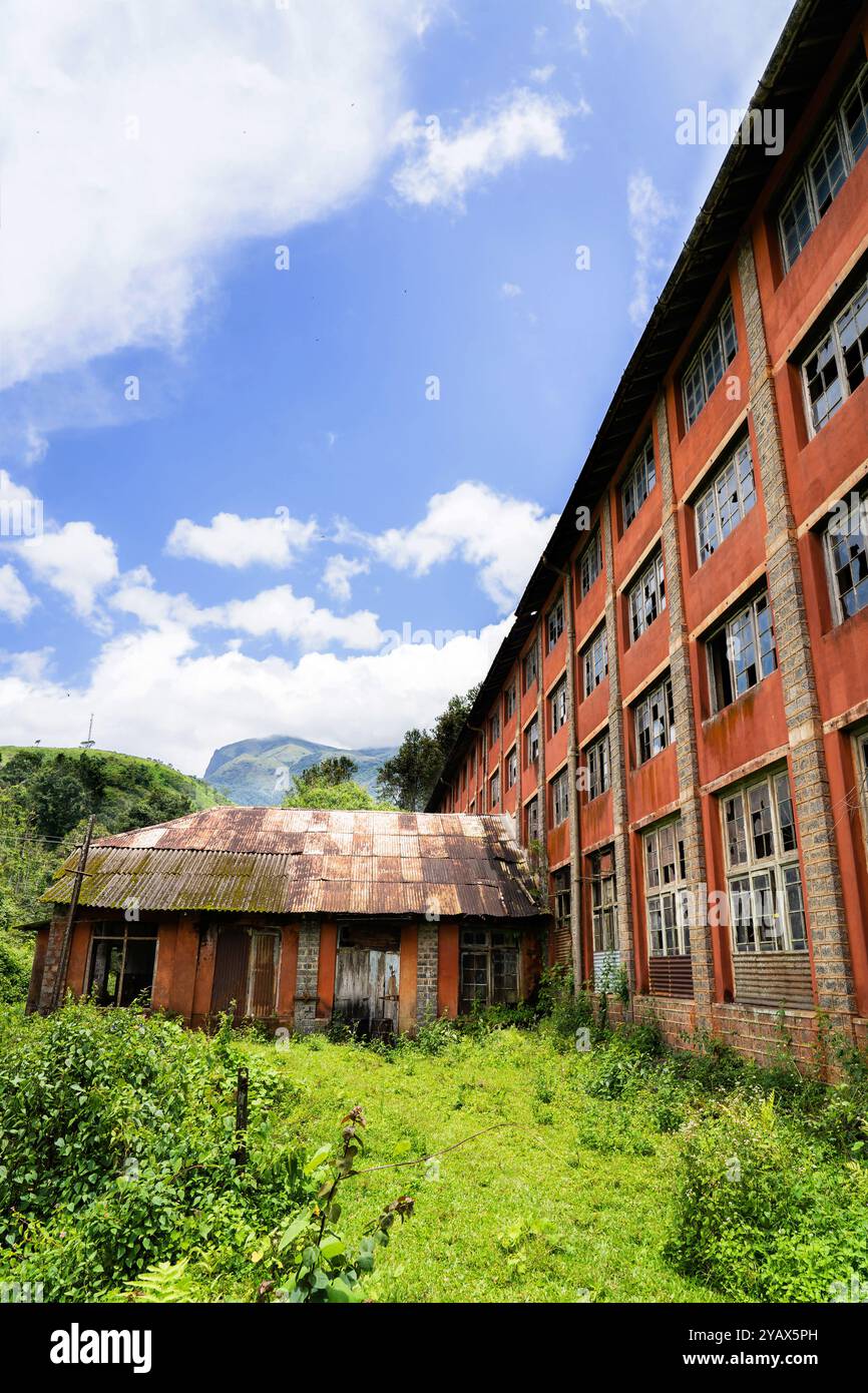 Abandoned tea factory Nilgiri, Tamil Nadu India Stock Photo - Alamy