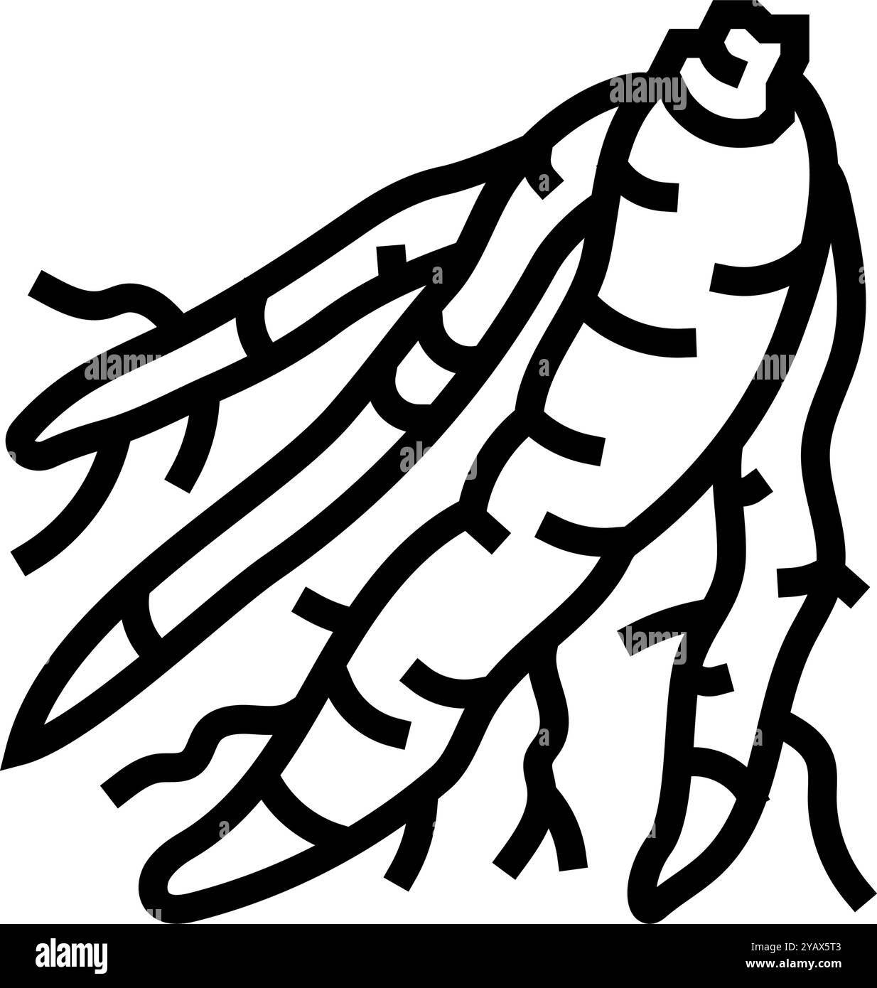 shatavari ayurvedic herb line icon vector illustration Stock Vector ...