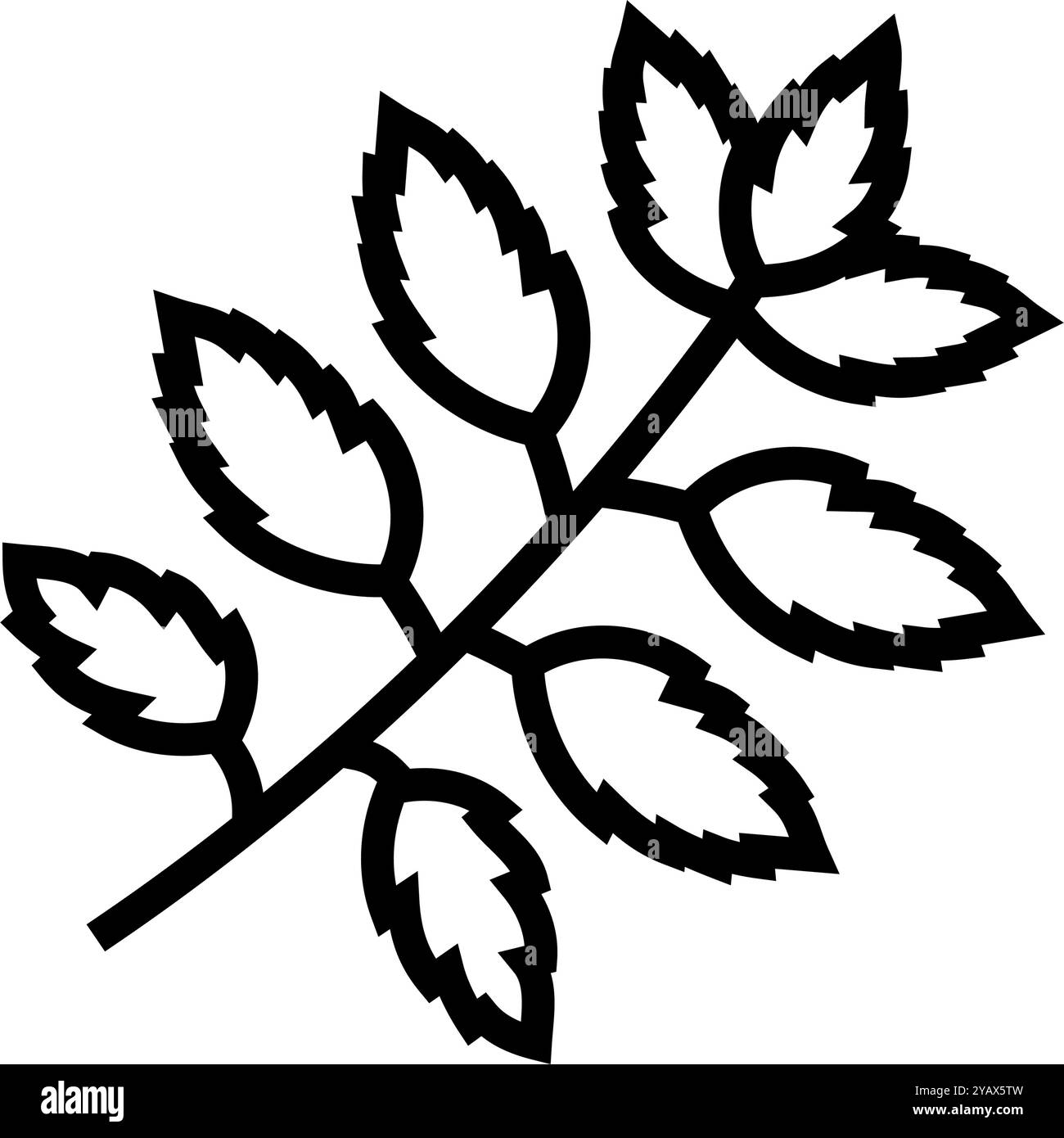 neem leaves ayurvedic herb line icon vector illustration Stock Vector ...