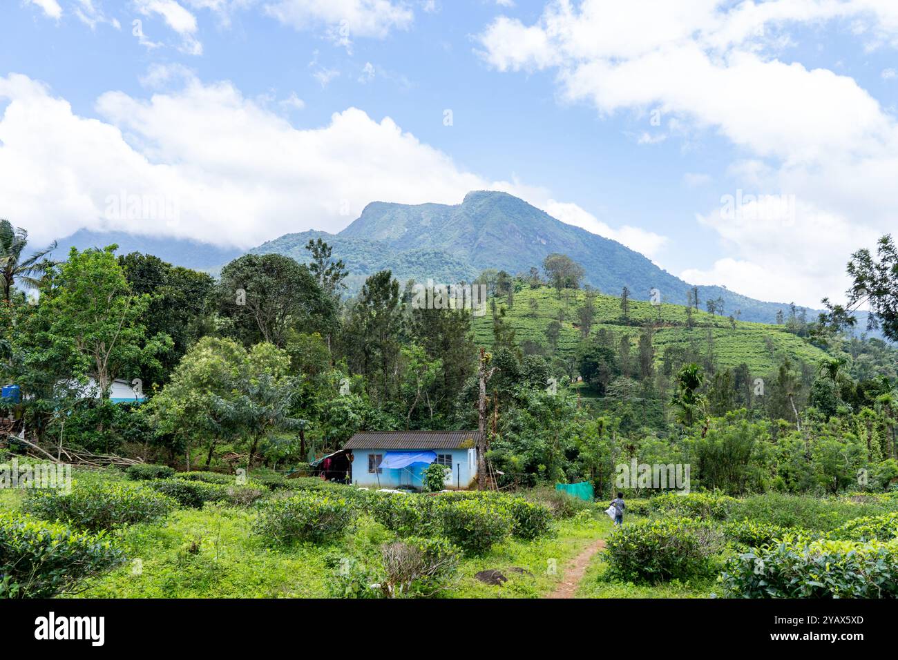 Yellamalai from Gudalur, Tamil Nadu - A Plantation Village in Tamil ...