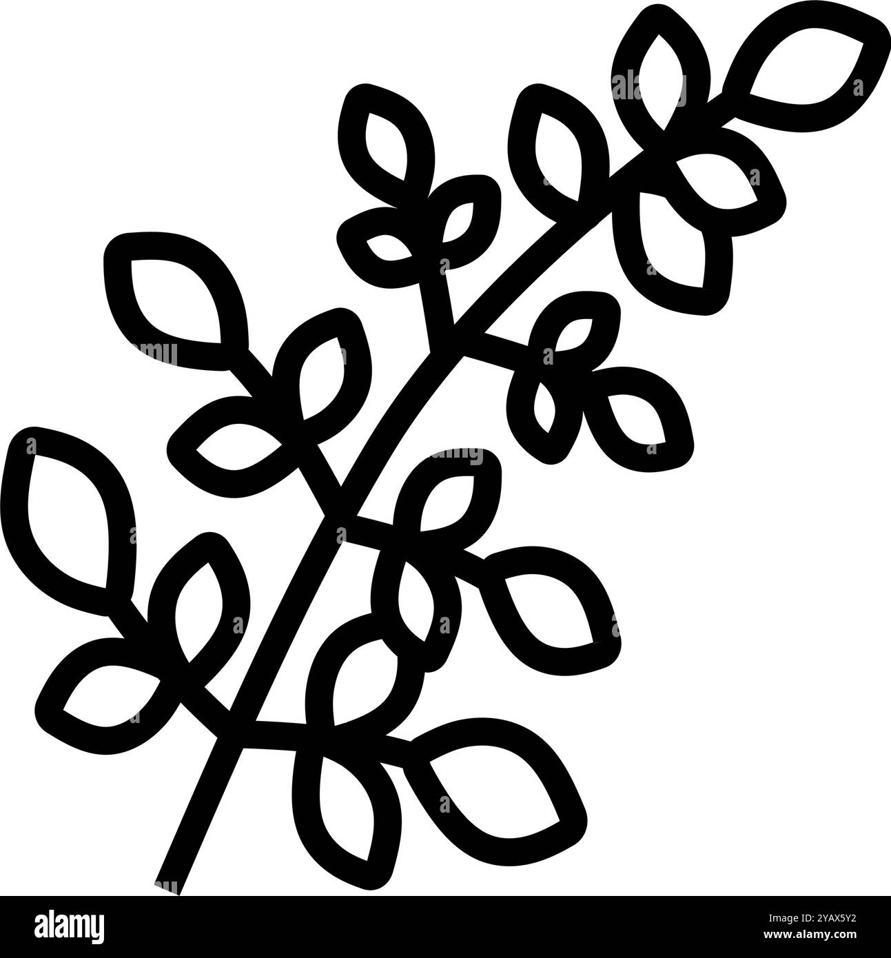 moringa leaves ayurvedic herb line icon vector illustration Stock ...