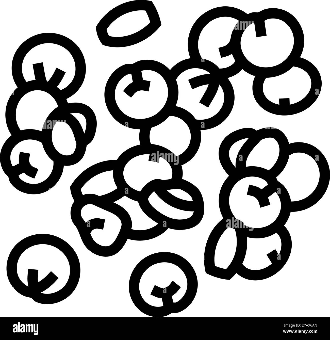 quinoa vegan food line icon vector illustration Stock Vector Image ...