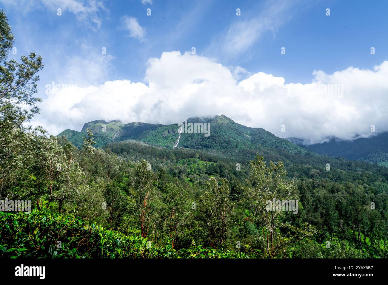 Yellamalai from Gudalur, Tamil Nadu - A Plantation Village in Tamil ...