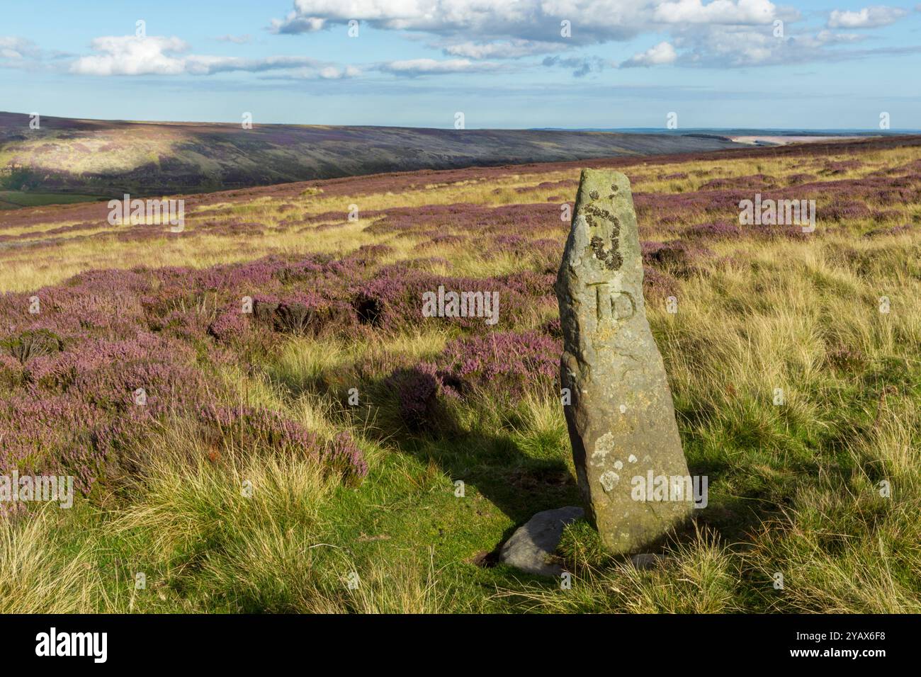 A tall and thin boundary stone, sometimes called a finger stone ...