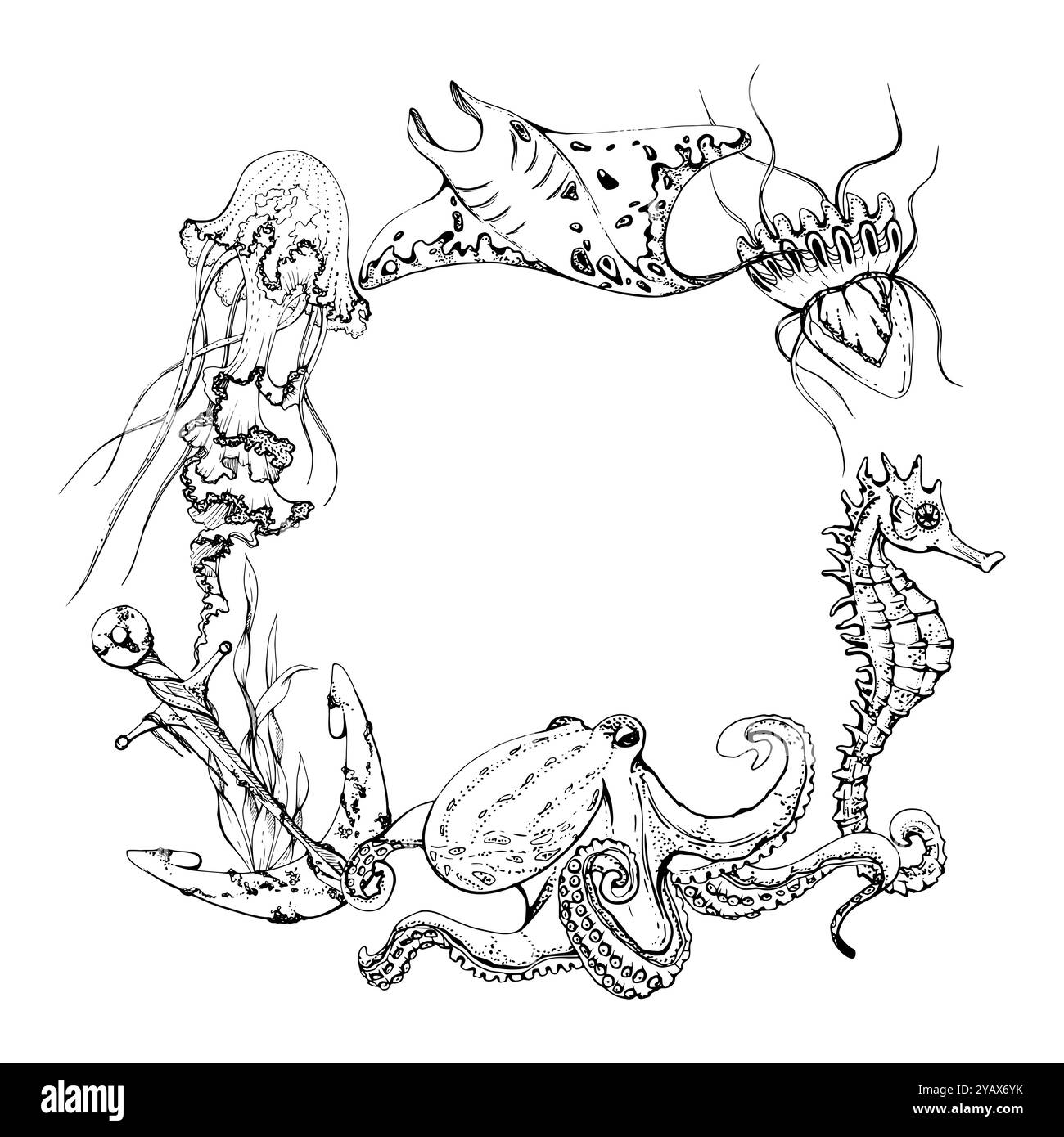 Marine life, sea ocean underwater creatures fish, shells algae seaweed ...