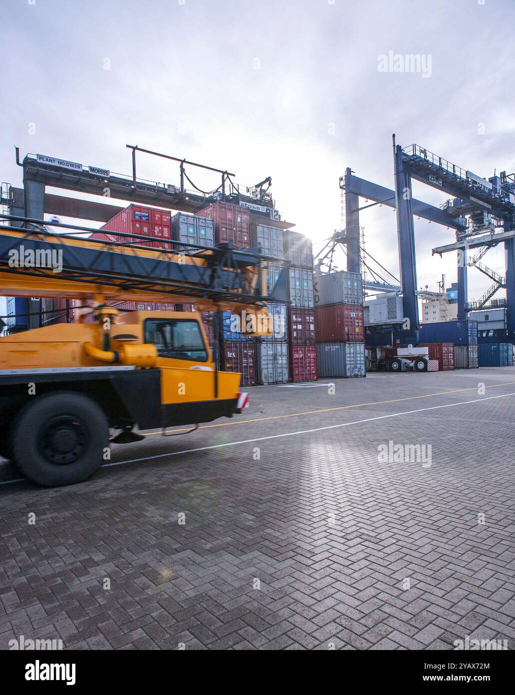 Containers at Felixstowe docks, East Anglia, eastern England, UK Stock ...
